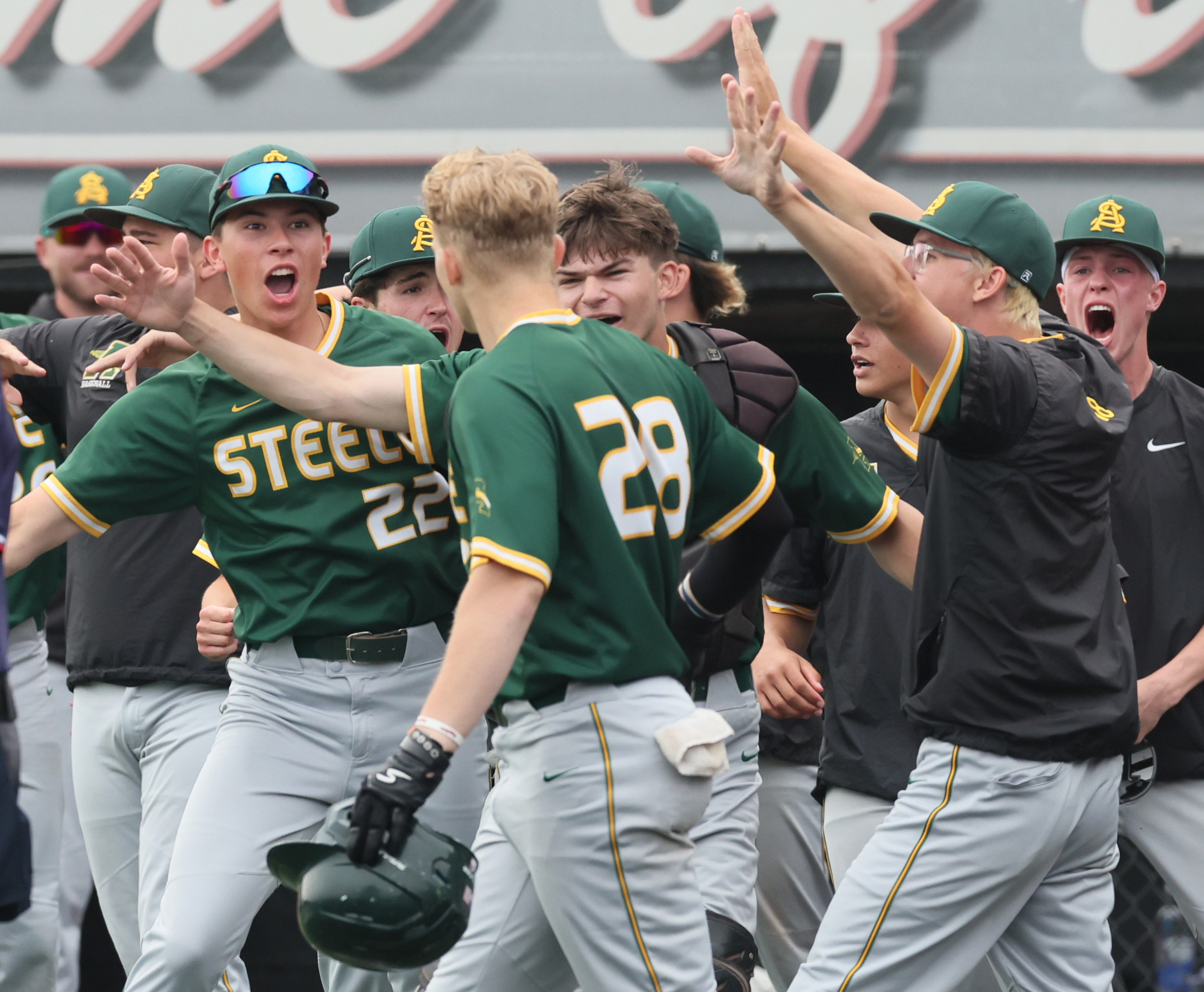 Marion Steele vs. New Albany in division II baseball semifinal in ...
