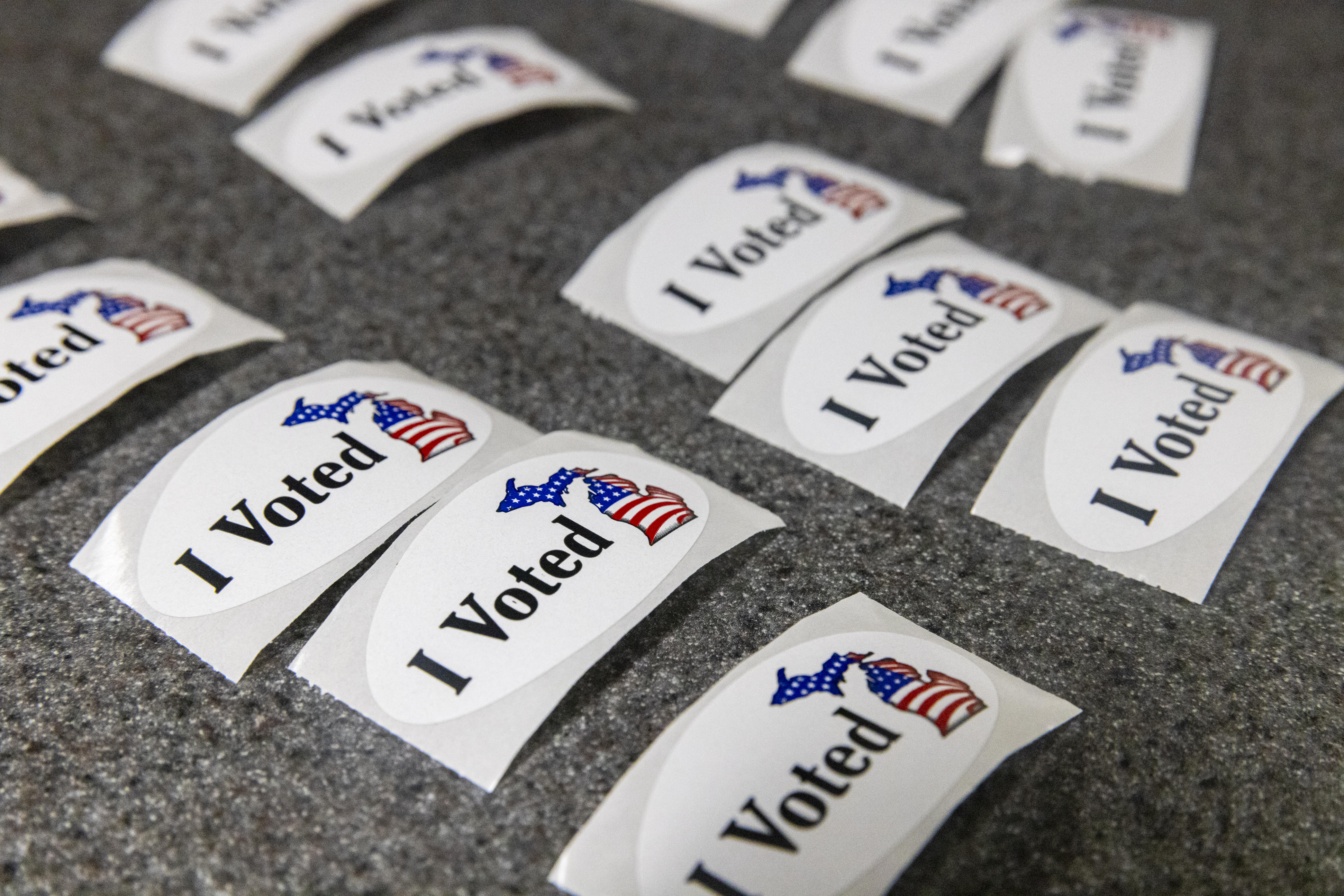 Hudsonville voters cast their ballots in the 2024 primary election ...