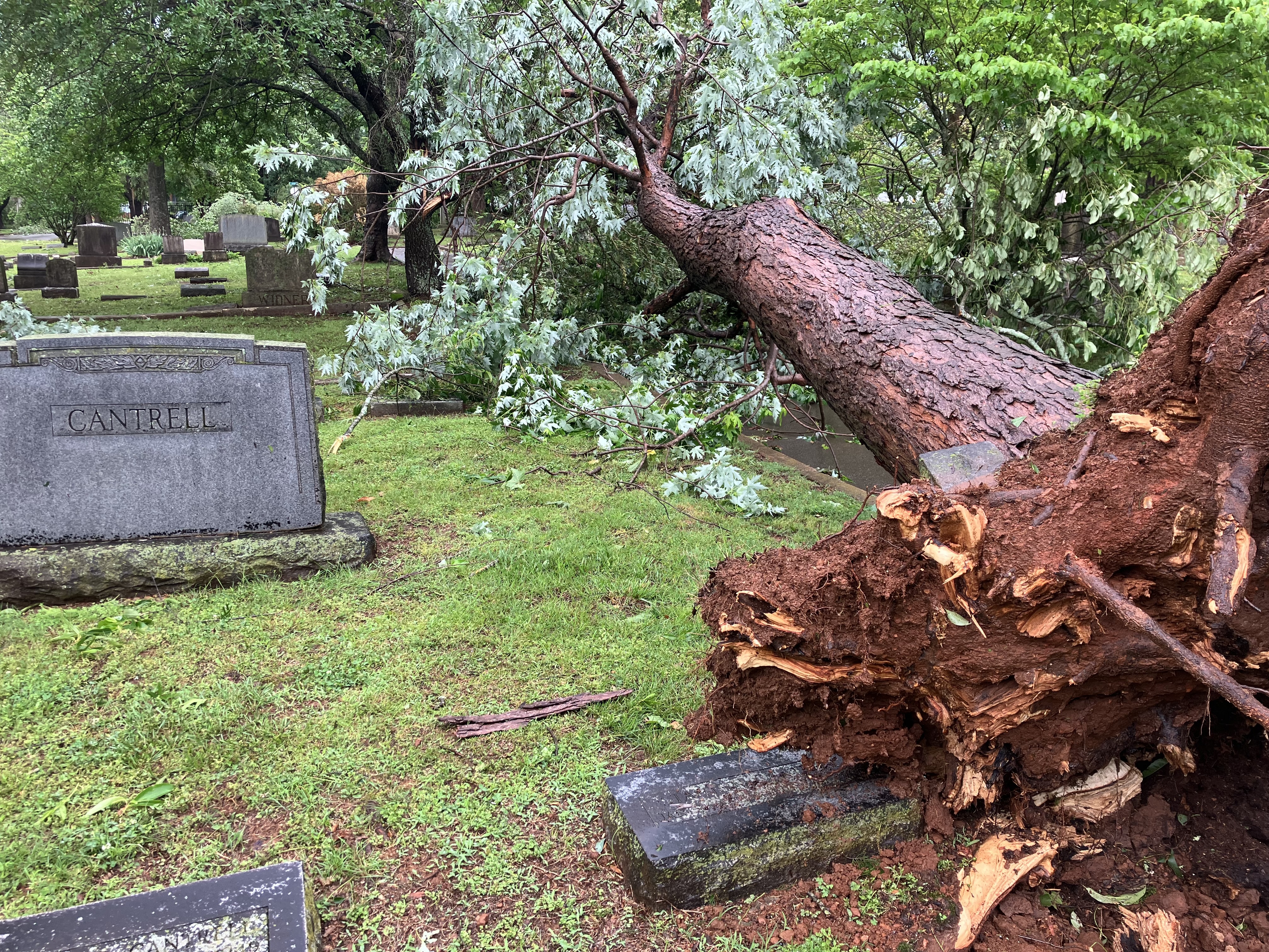 Alabama storm damage: May 9, 2024 - al.com