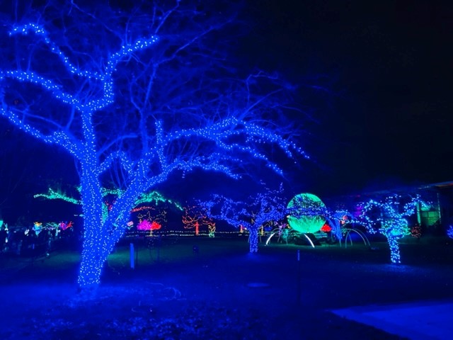 Wild Lights at the Detroit Zoo 2021 - mlive.com
