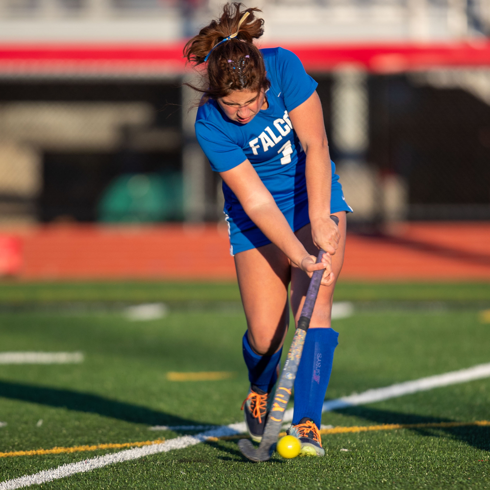 Lower Dauphin wins State Field Hockey Championship - pennlive.com