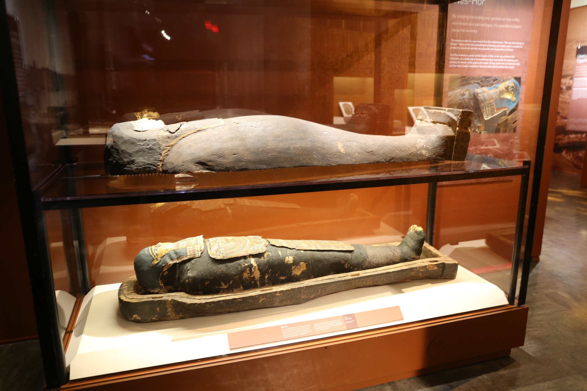 Mummies of the World on display at the Corner Gallery - cleveland.com
