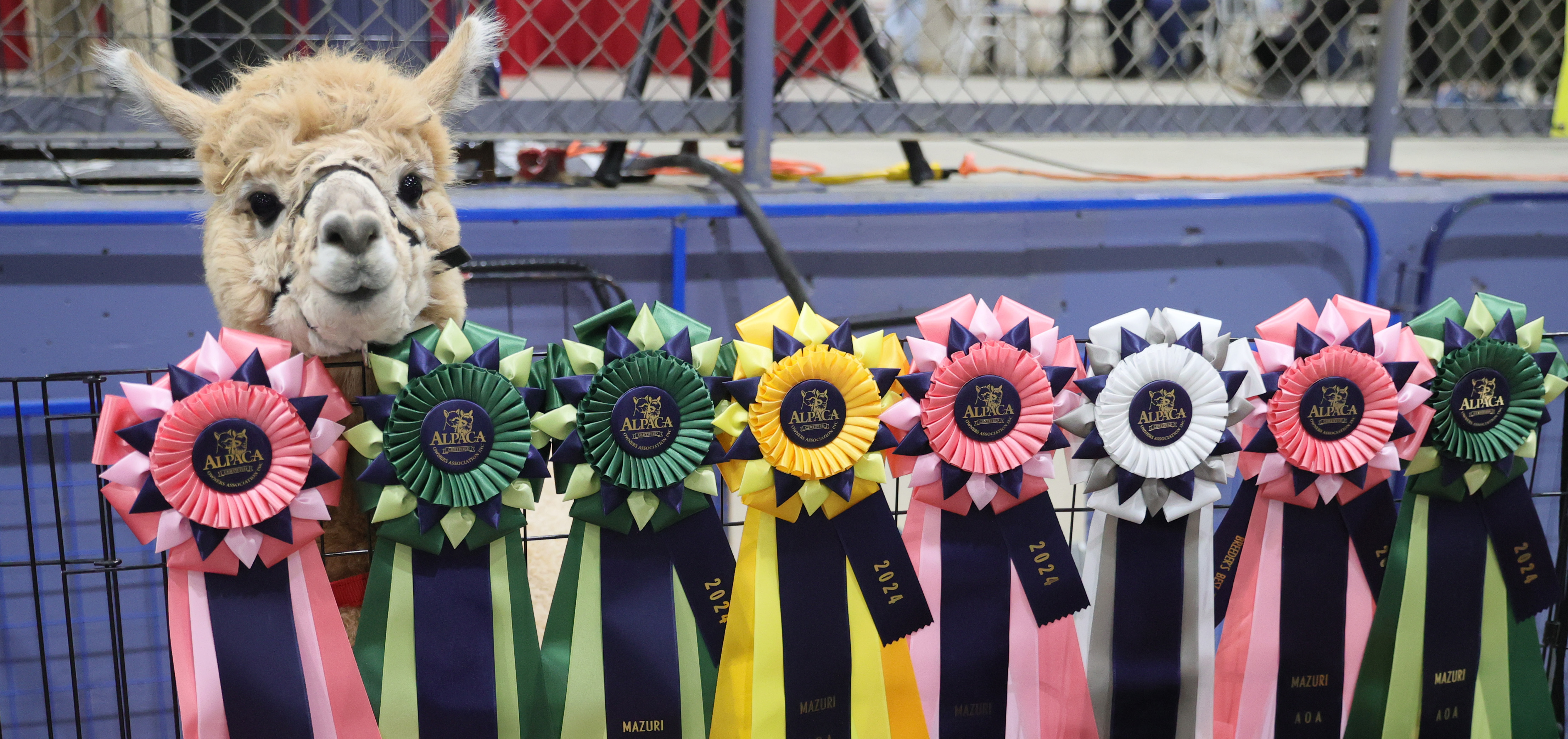 The Buckeye Alpaca Show at Summit County Fairgrounds, March 23, 2024 ...