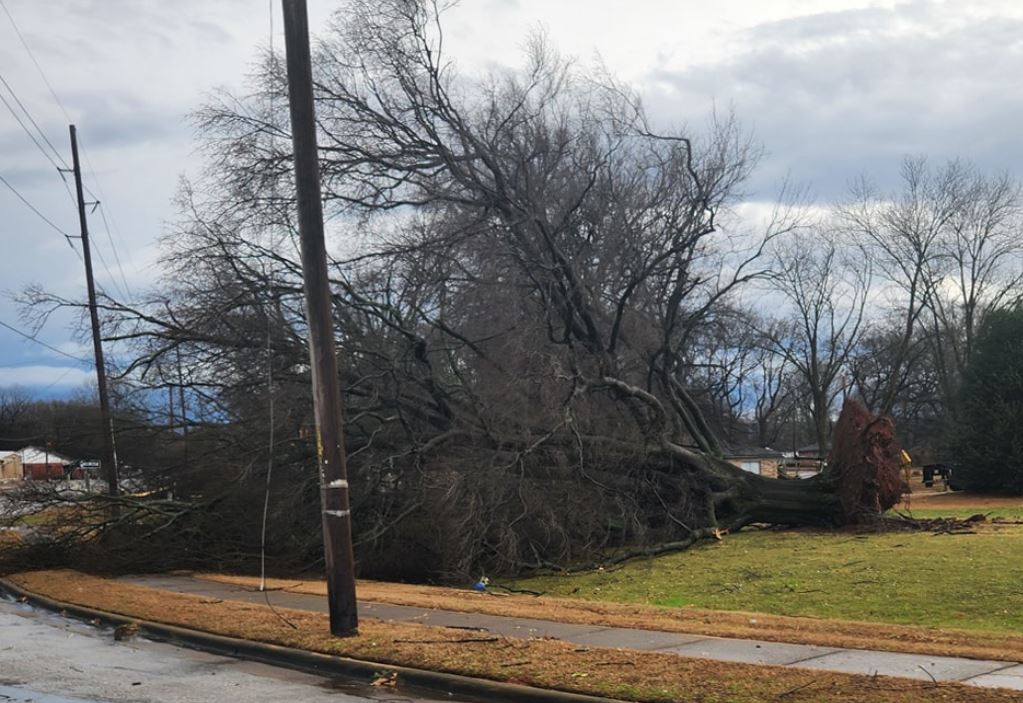 Storm damage in Alabama - al.com