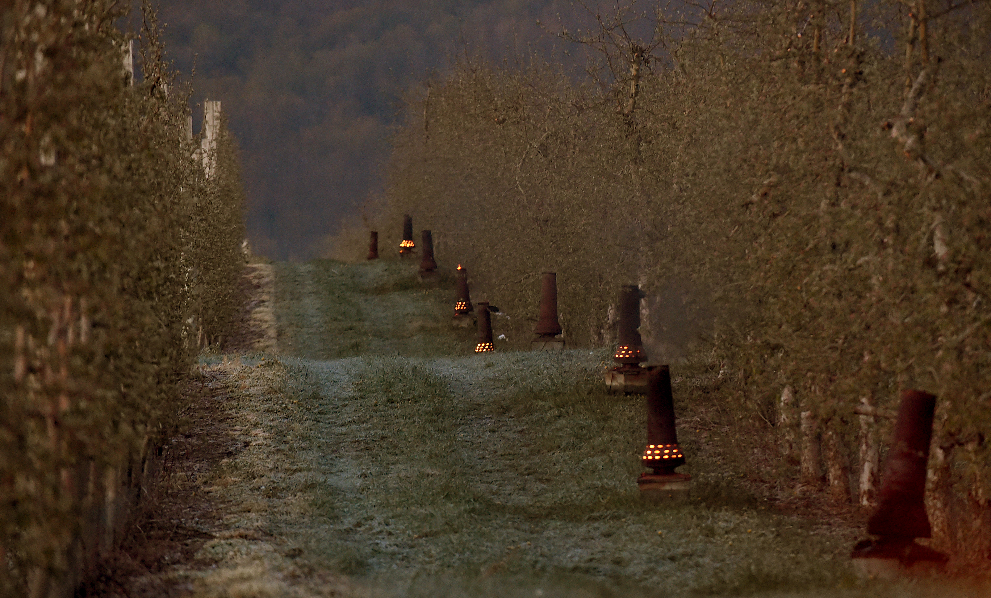 Frost takes a grip on Lafayette apple orchard Beak & Skiff - syracuse.com