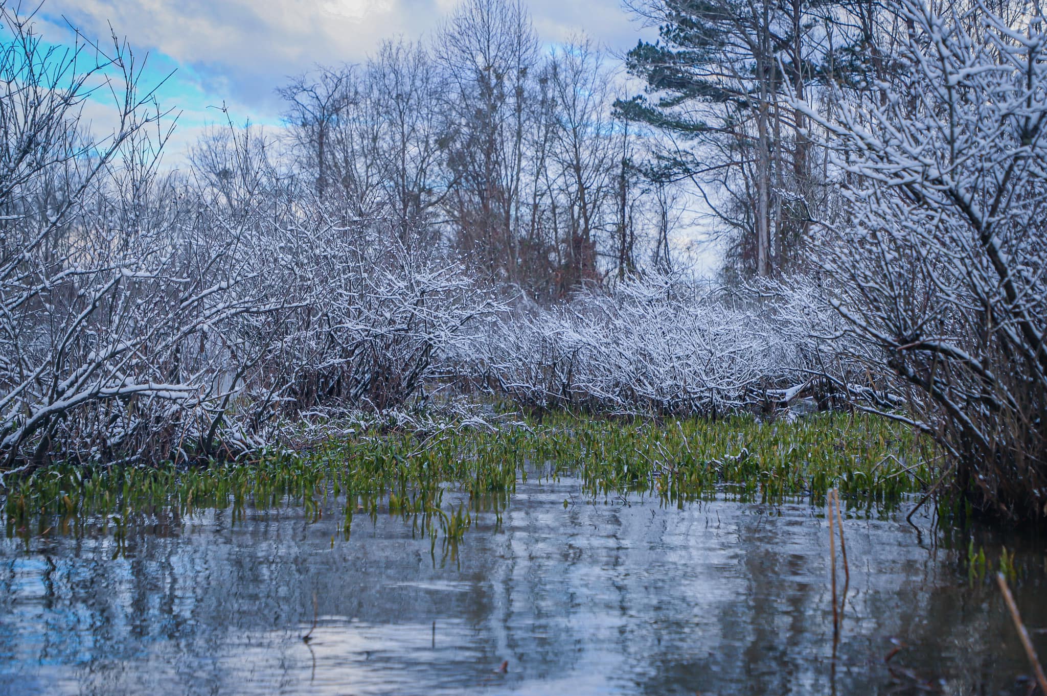Snow in Alabama, March 2022 - al.com