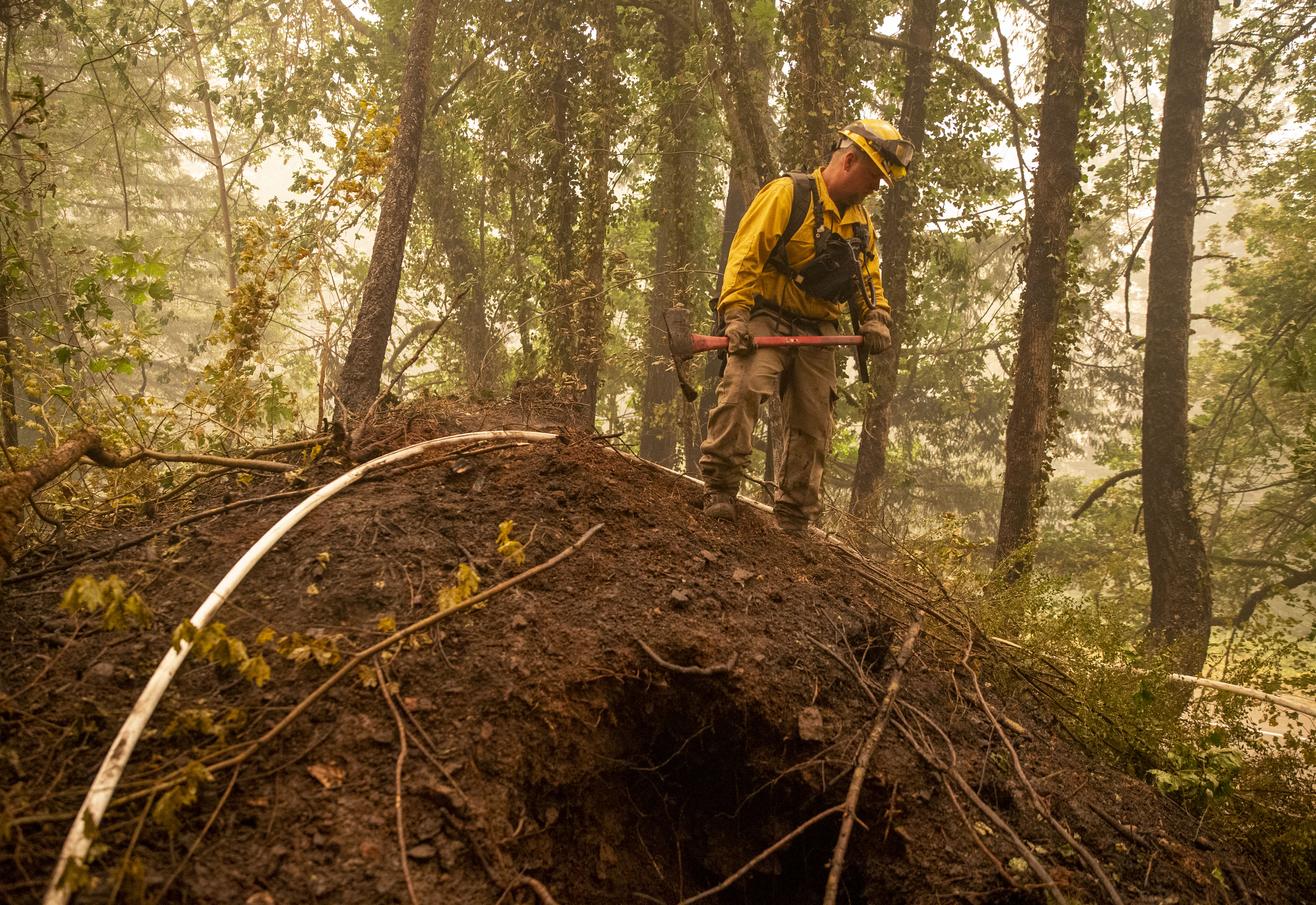 Holiday Farm fire ravages Oregon towns - oregonlive.com