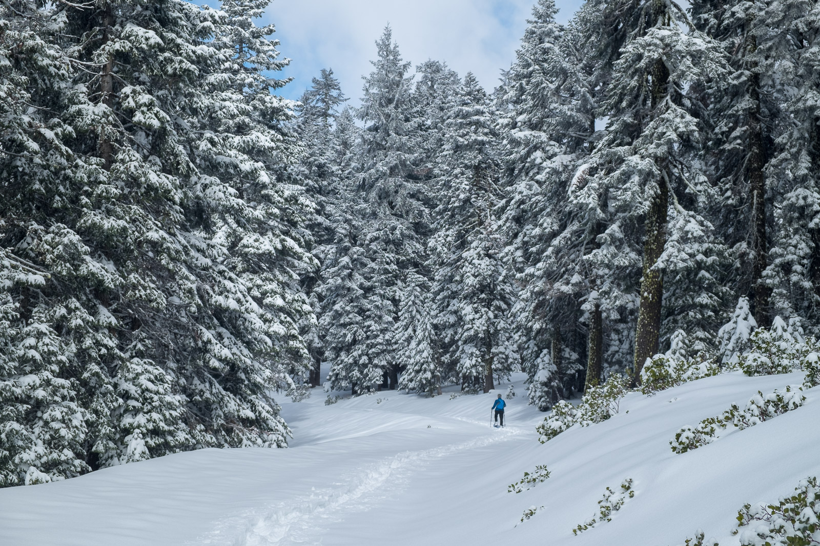 Ashland snow - oregonlive.com