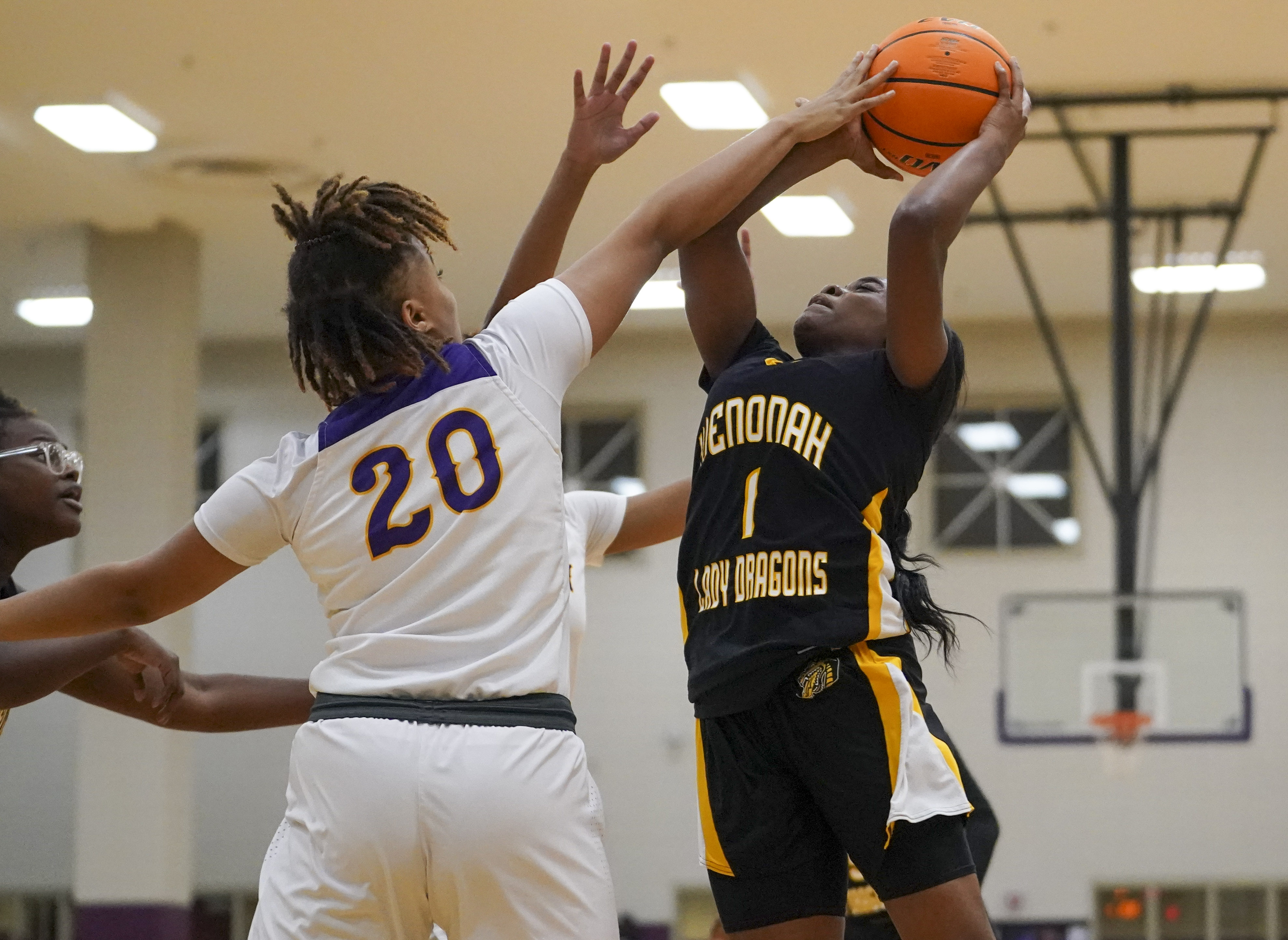 Girls High School Basketball: Class 5A, Area 9 Wenonah vs Pleasant ...
