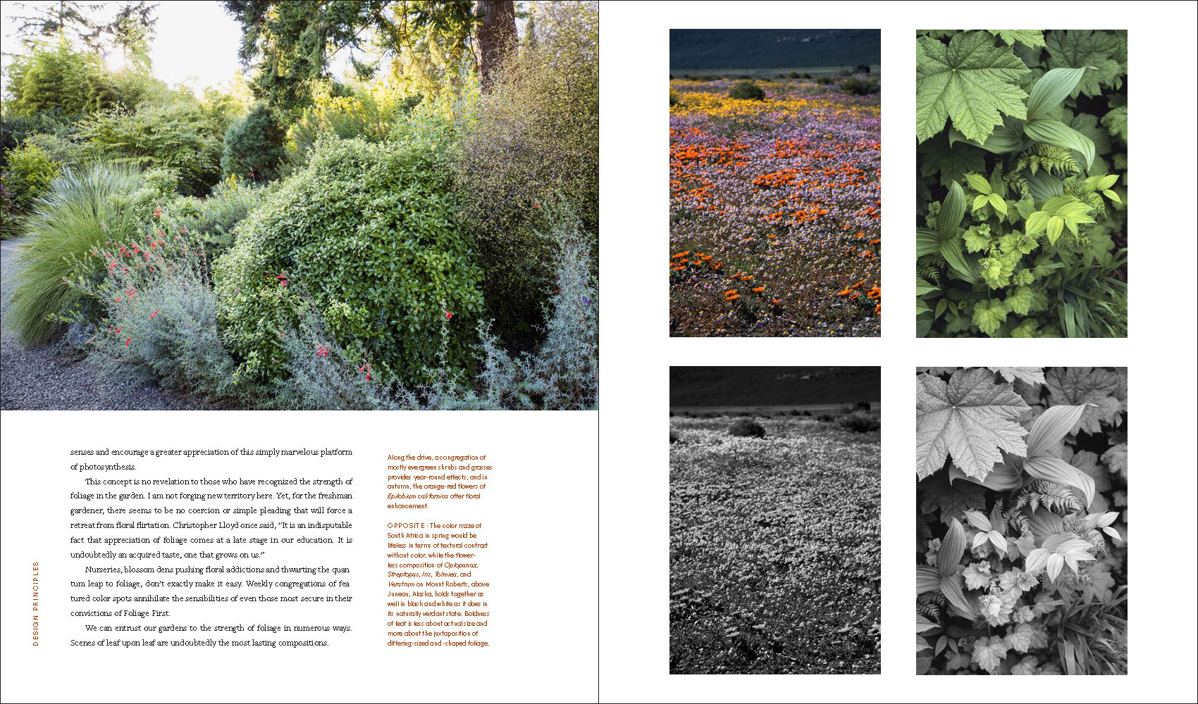 “Windcliff: A Story of People, Plants, and Gardens” - oregonlive.com