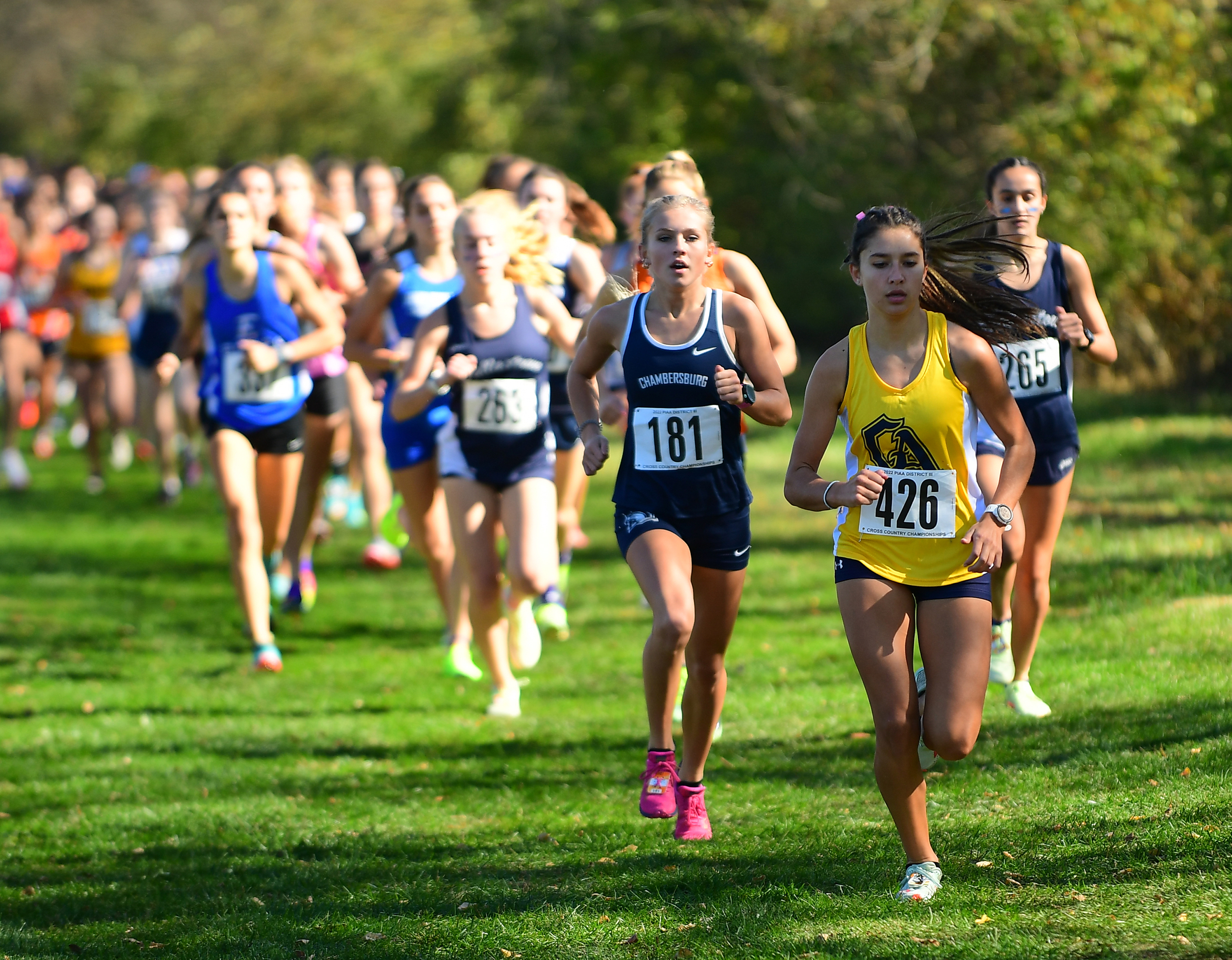 The District 3 AAA Cross Country Championships - pennlive.com