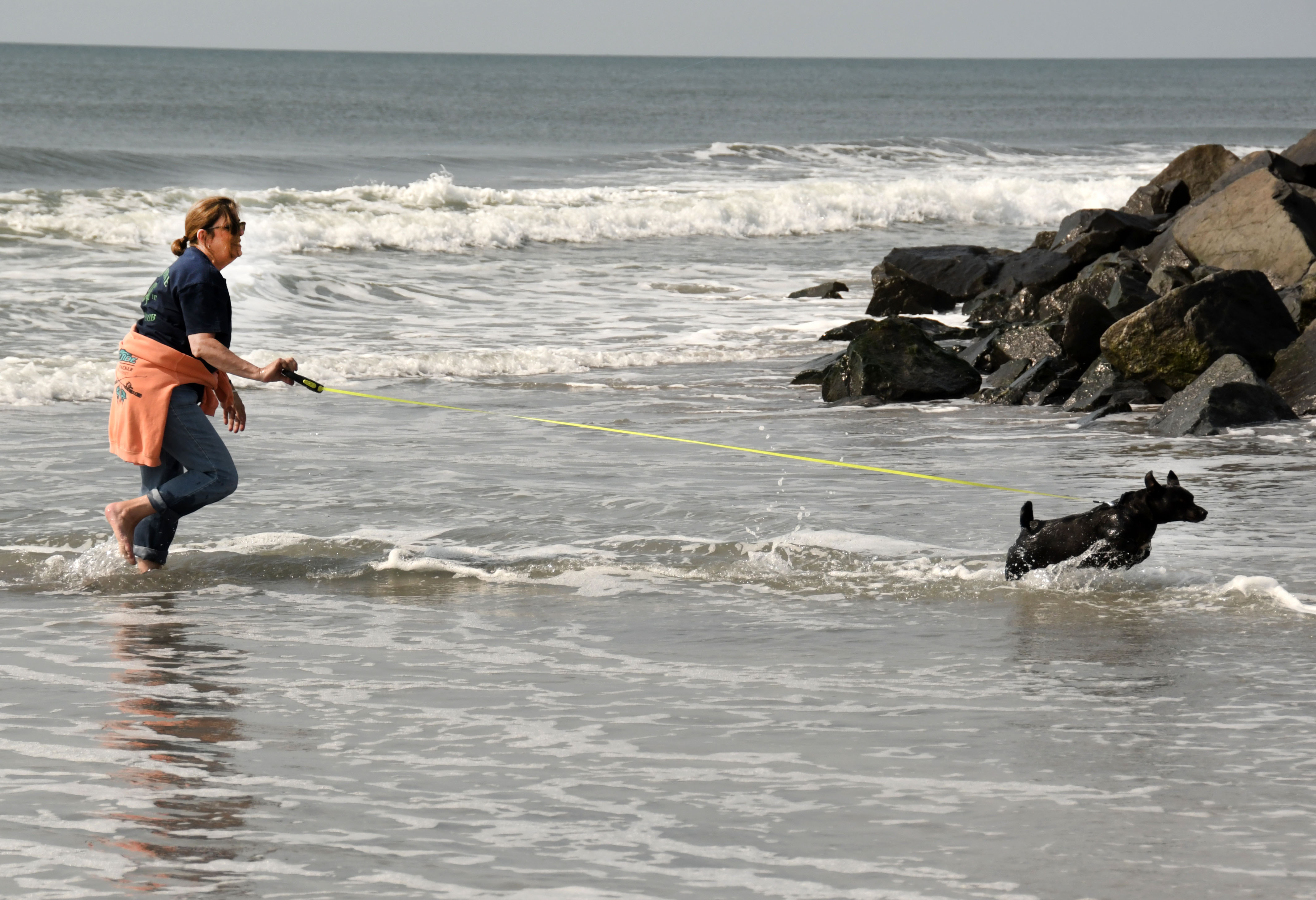 Dog-friendly Beach North beach in Brigantine - nj.com