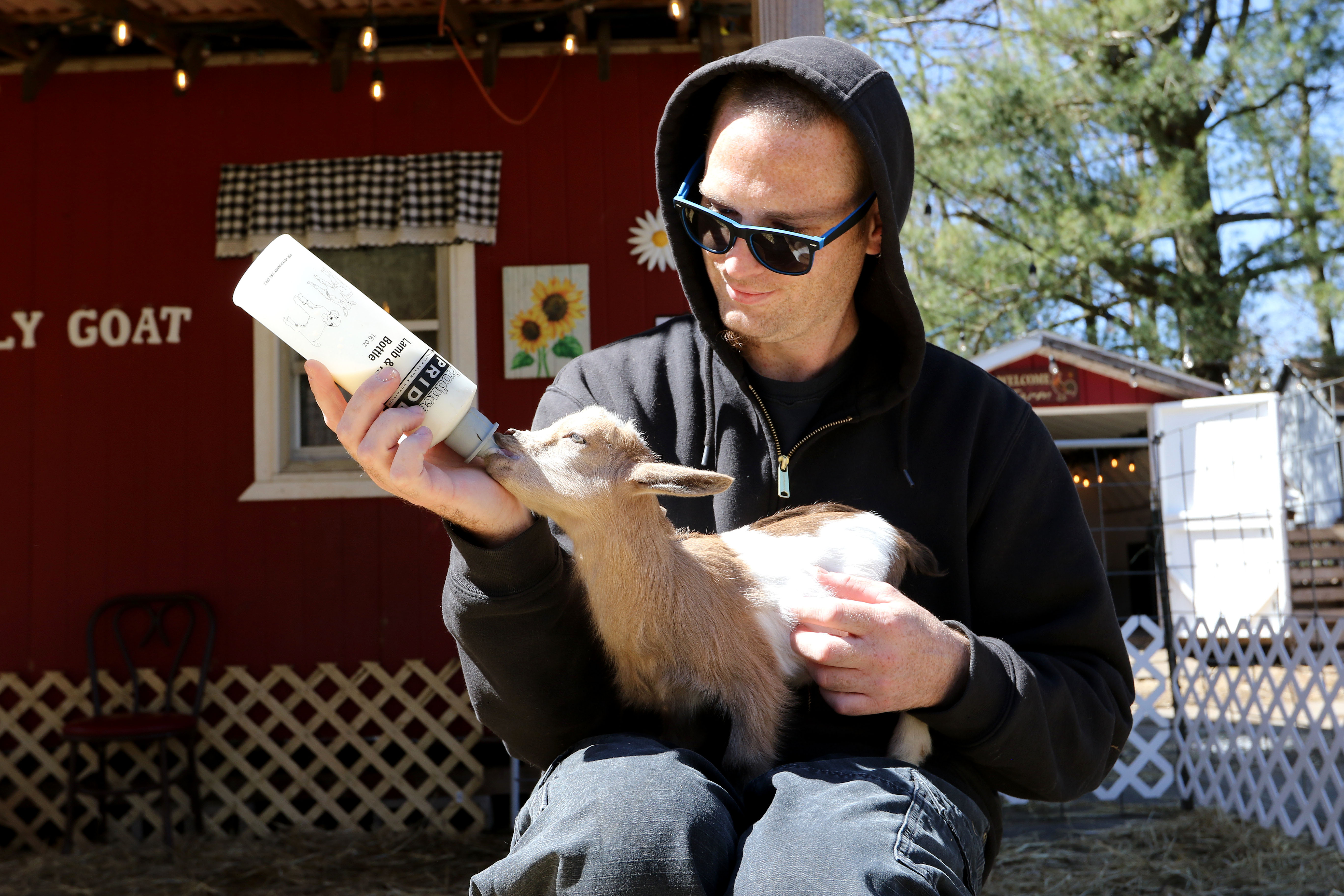 Visitors bottle fed newborn goats at The Bubbly Goat Farm - nj.com
