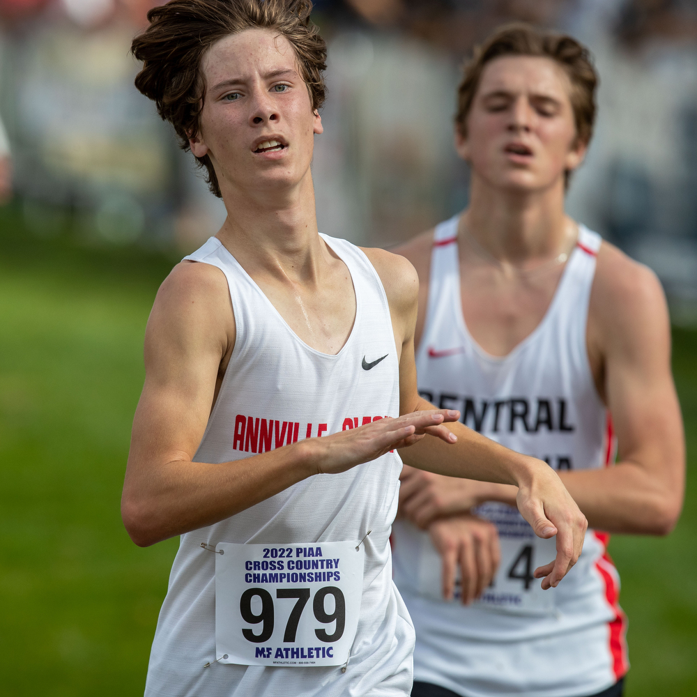 The 2022 PIAA Boys Cross Country Championships at Hershey - pennlive.com