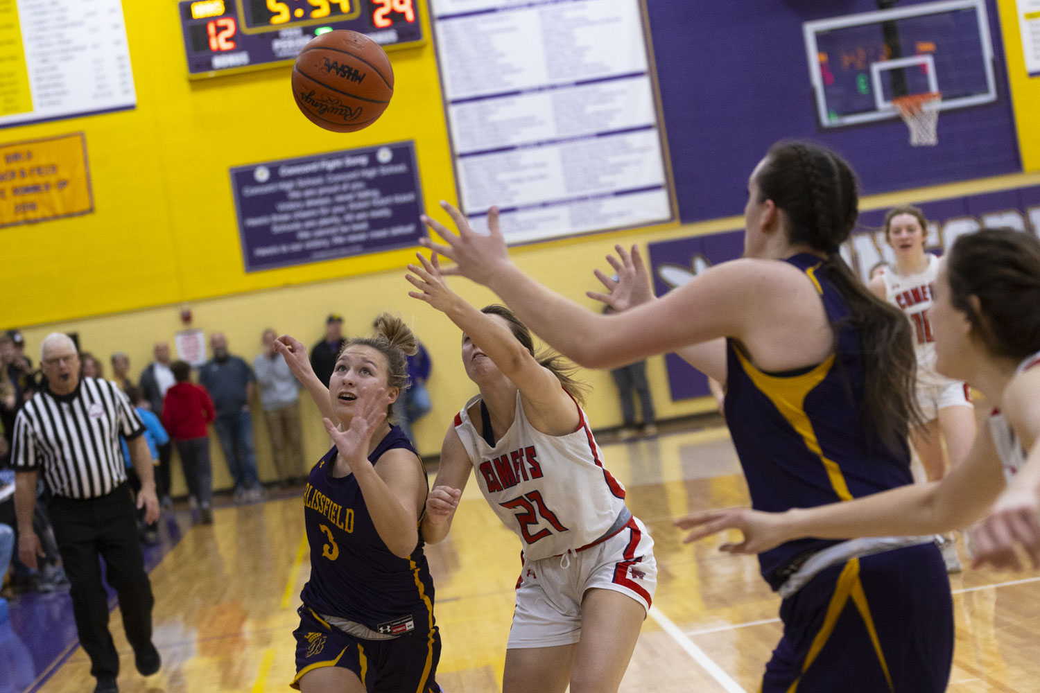See photos as Blissfield sweeps Hanover-Horton in a Division 3 regional ...