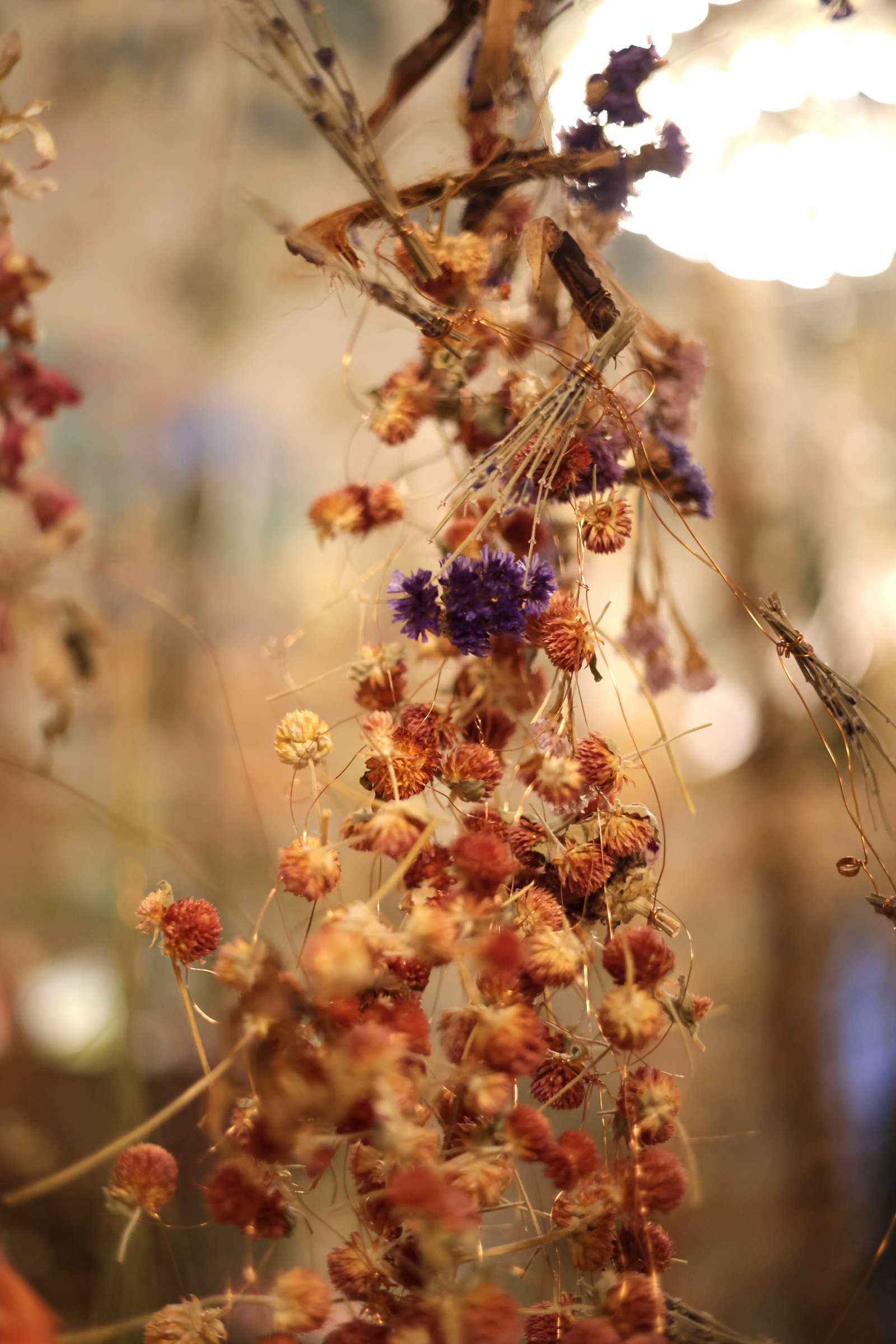 "The Archive" floral exhibit on display in Cleveland - cleveland.com