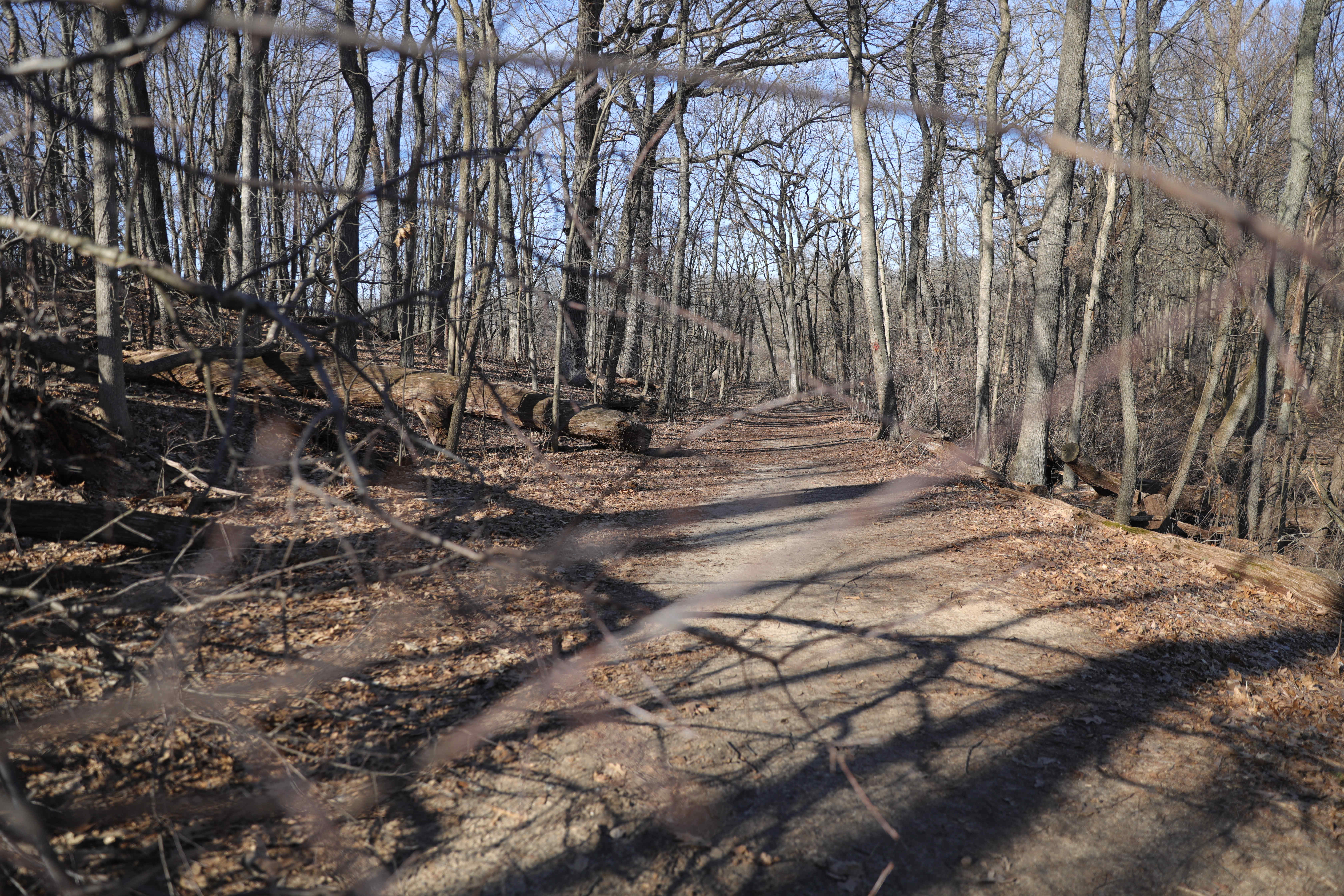 Asylum Lake Preserve - mlive.com