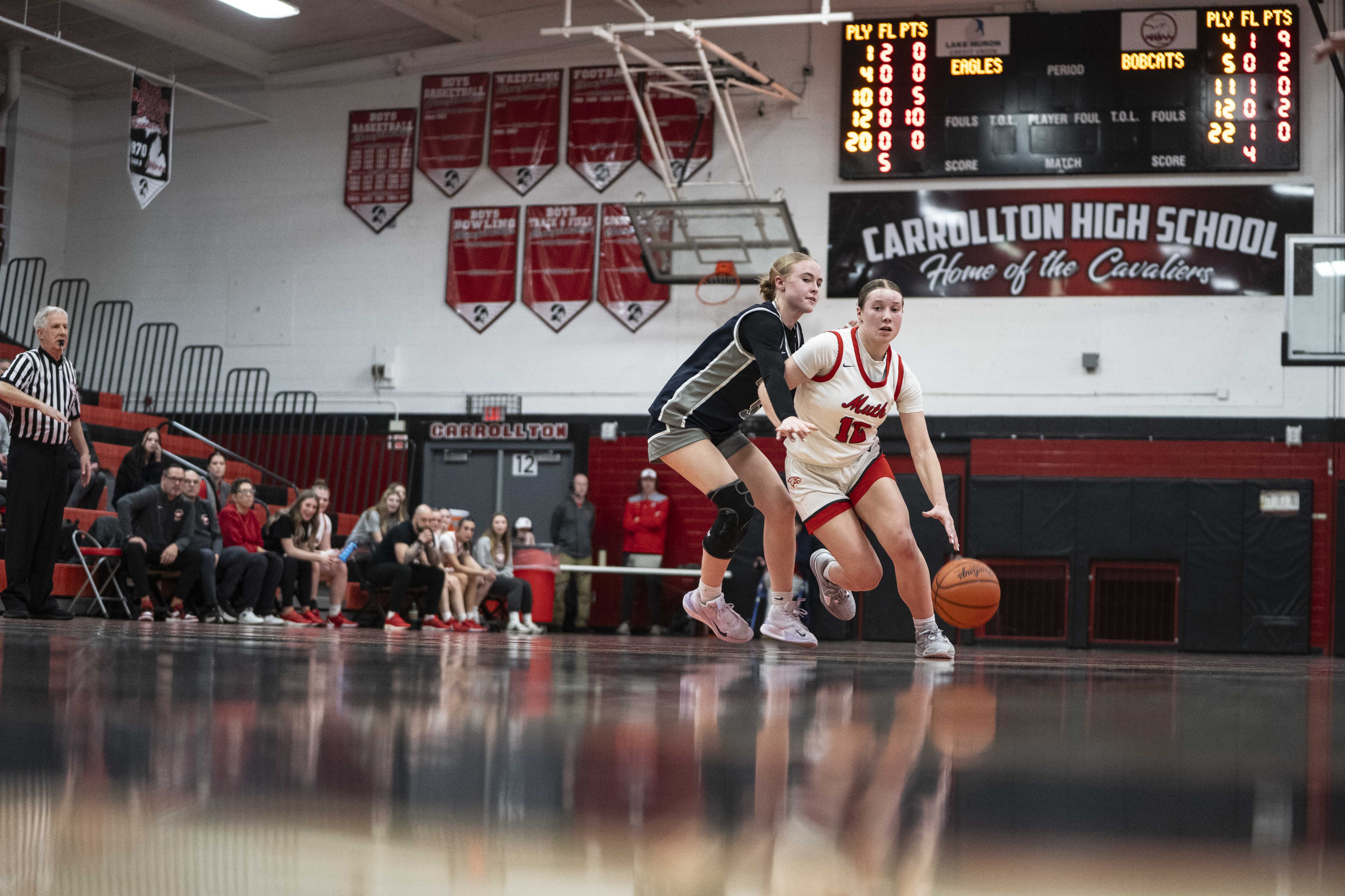 Frankenmuth and John Glenn face off in district final - mlive.com