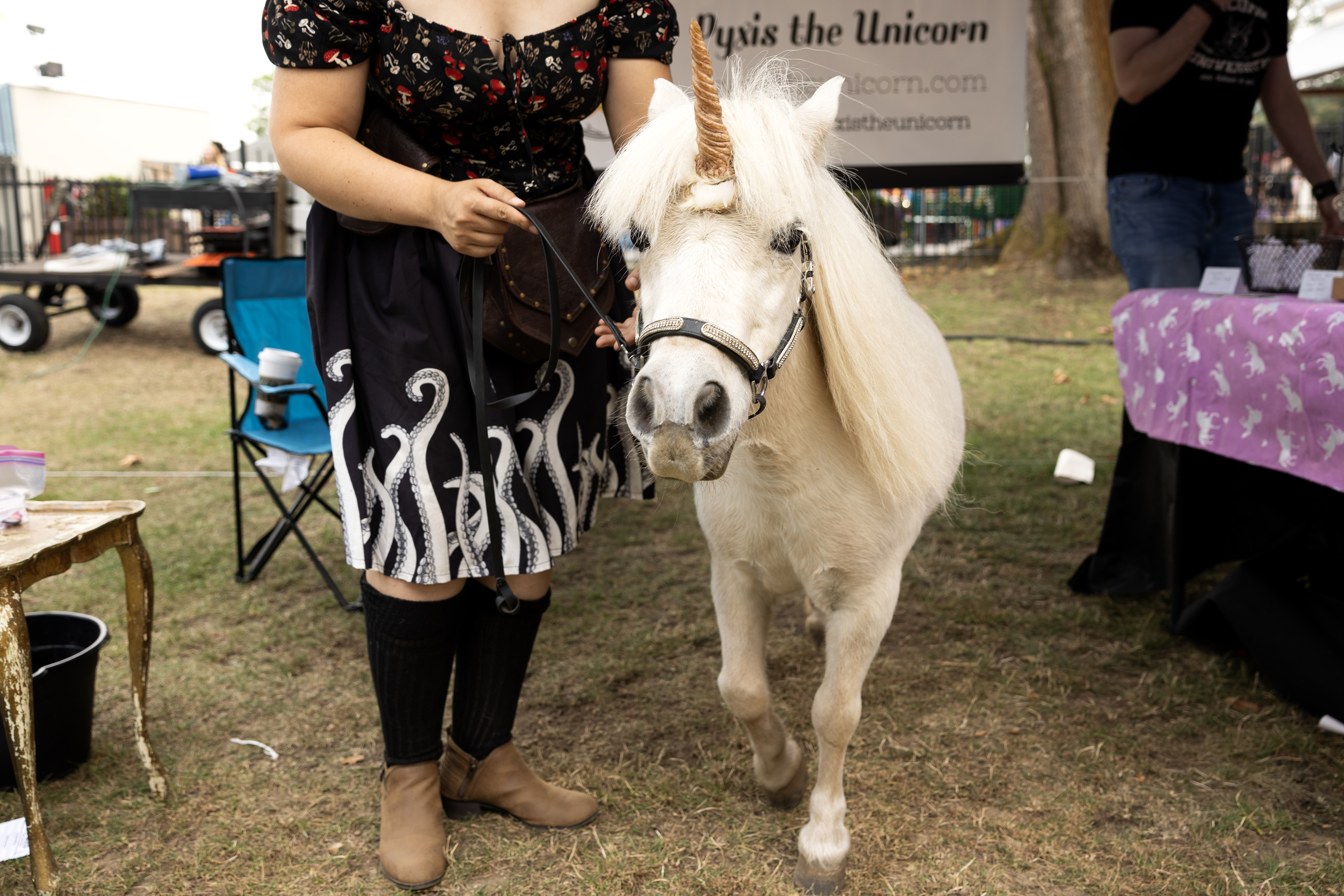 Portland Weird Fest - oregonlive.com