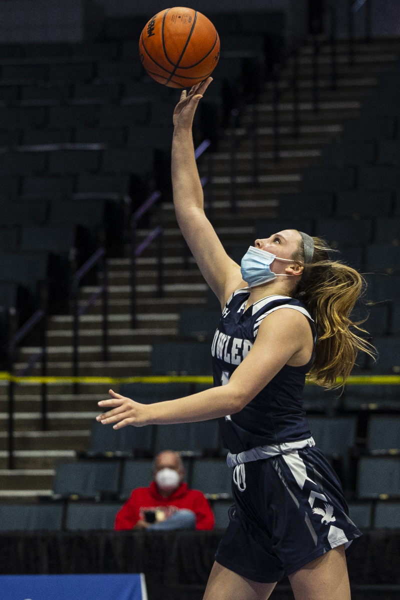 Fowler girls defeat Carney-Nadeau 61-37 to advance to D4 state ...