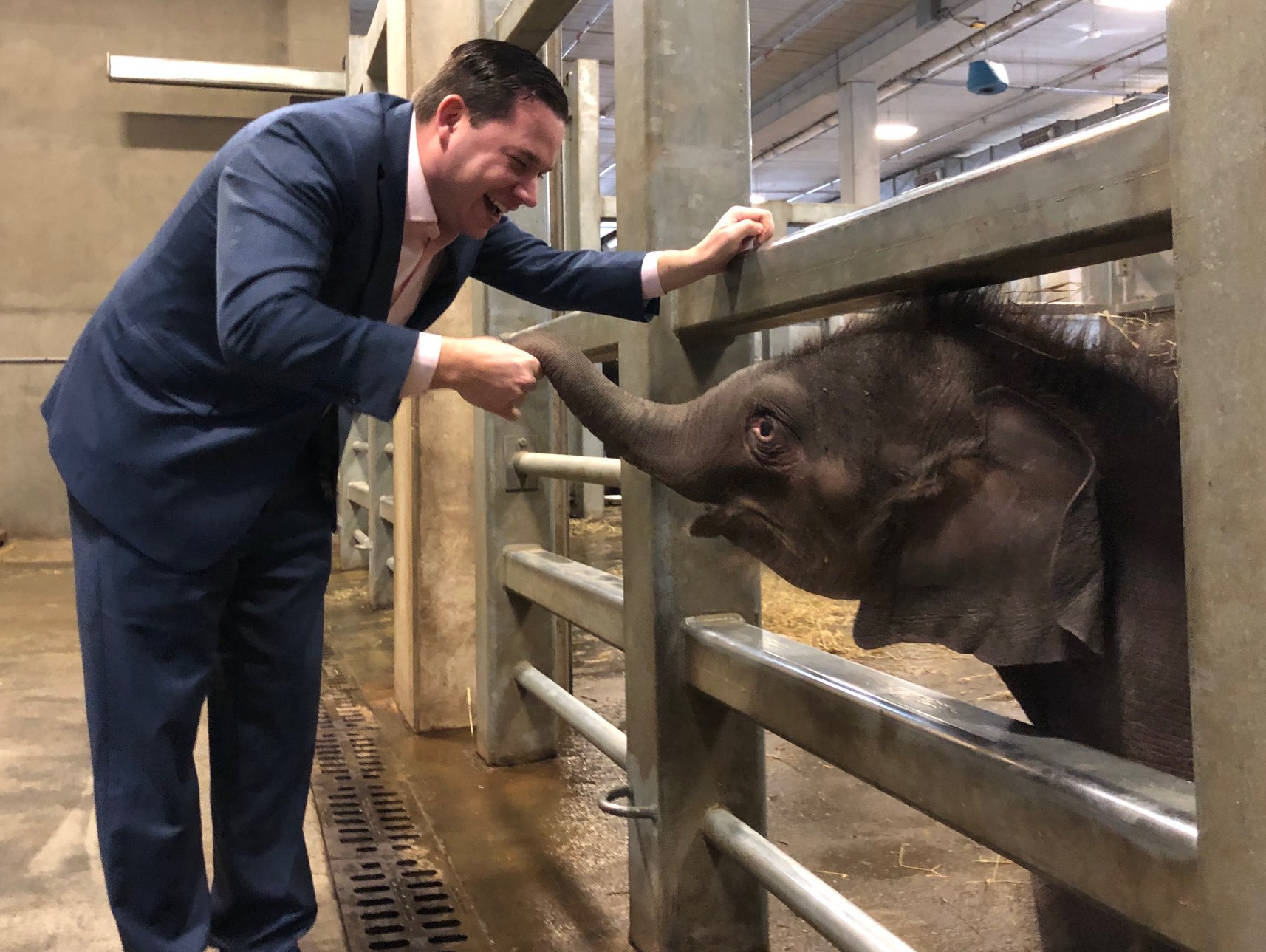 Syracuse zoo's baby elephant dies - syracuse.com