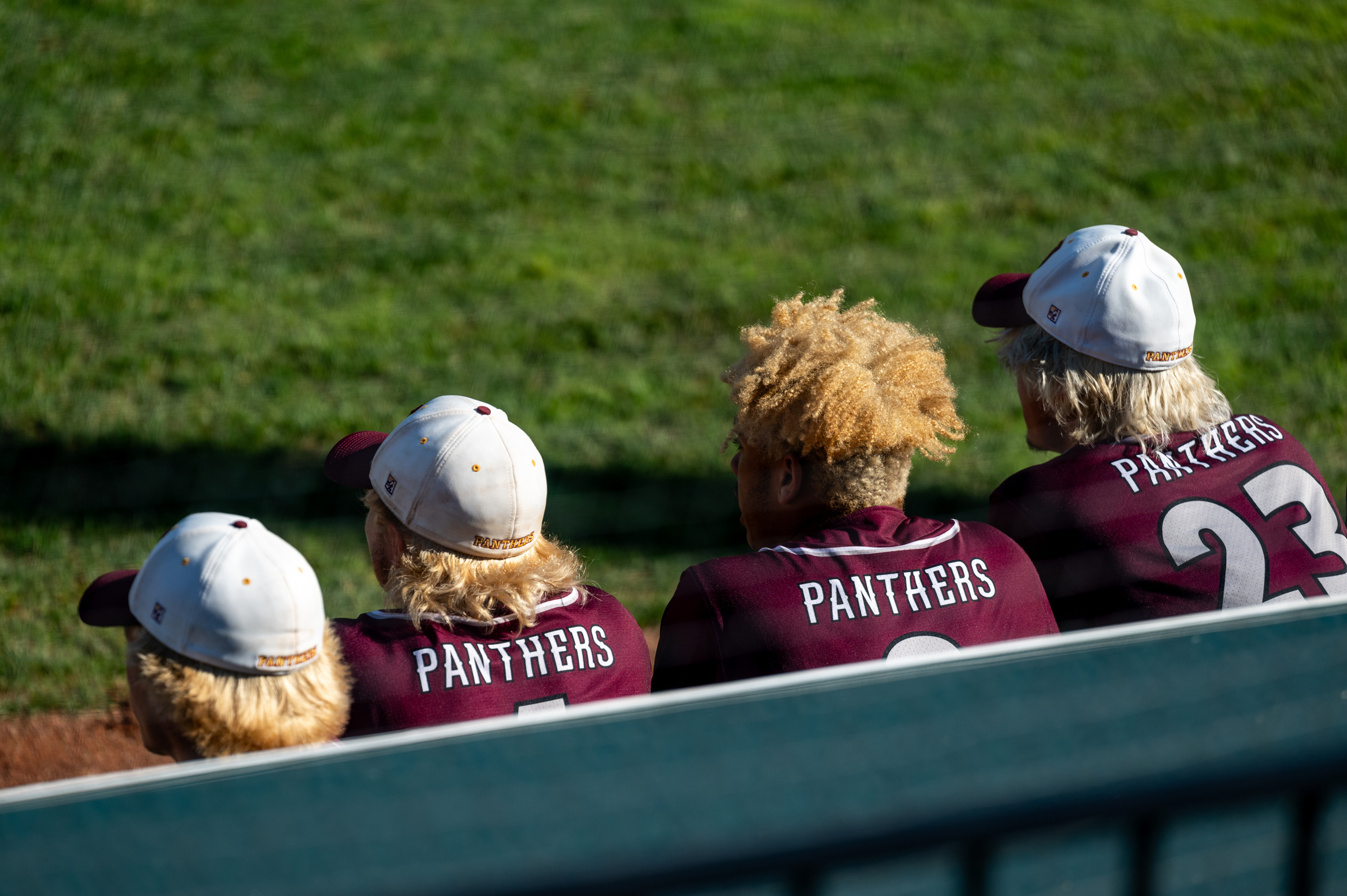 Watervliet wins MHSAA Division 3 baseball state championship - mlive.com