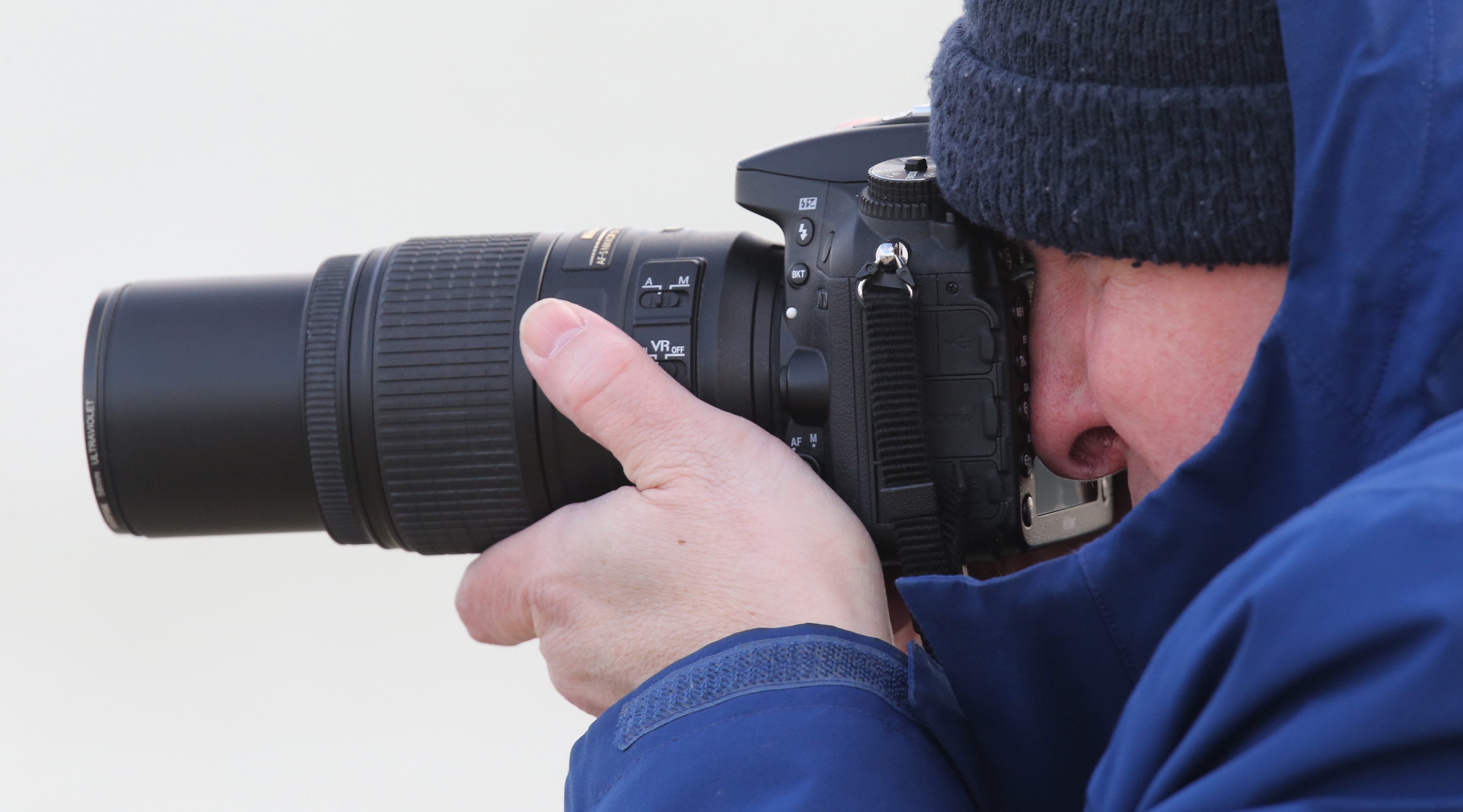 Snowy owls spotted in Lorain Harbor, January 5, 2022 - cleveland.com