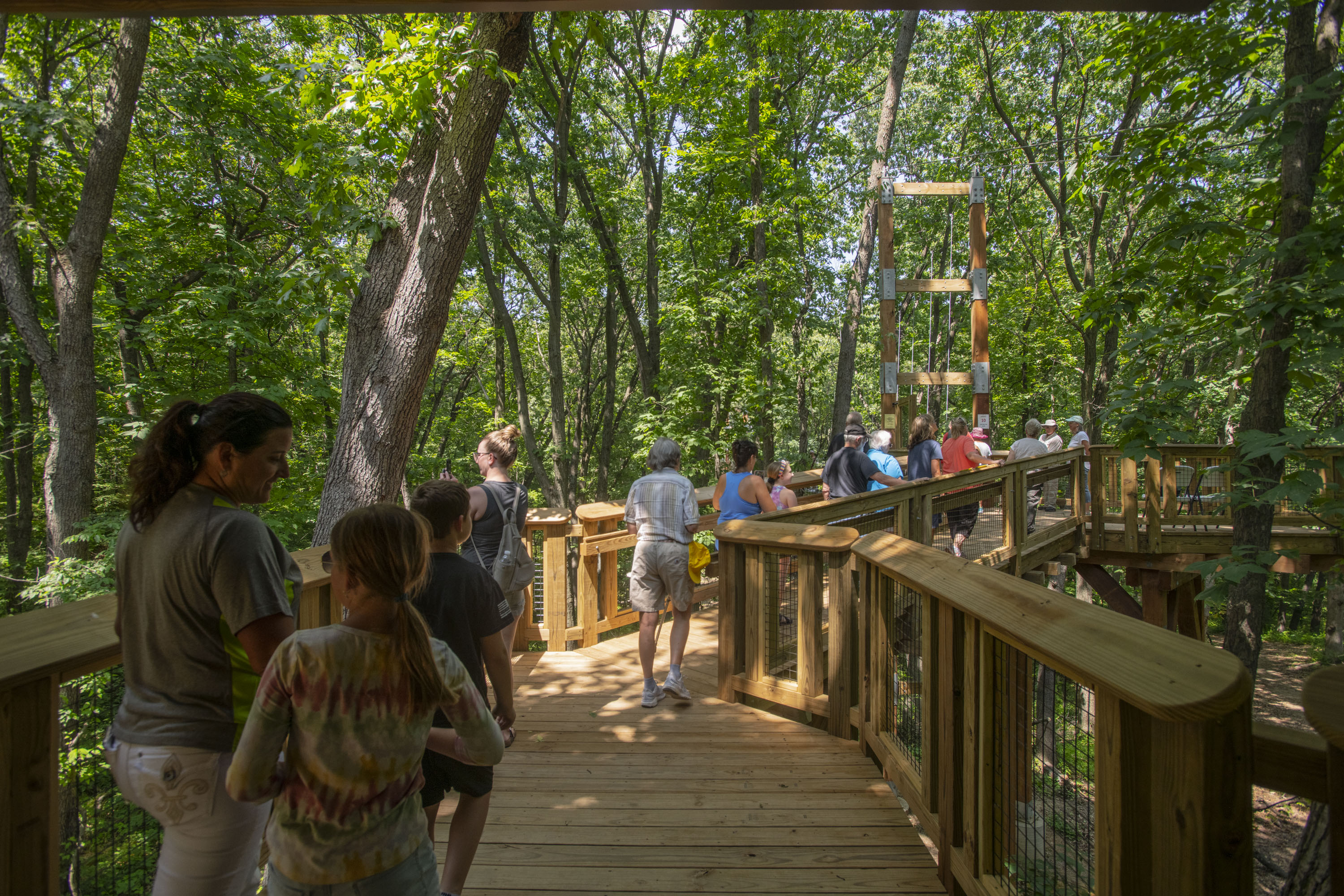 Sky Canopy Walk opens at MSU’s Hidden Lake Gardens - mlive.com
