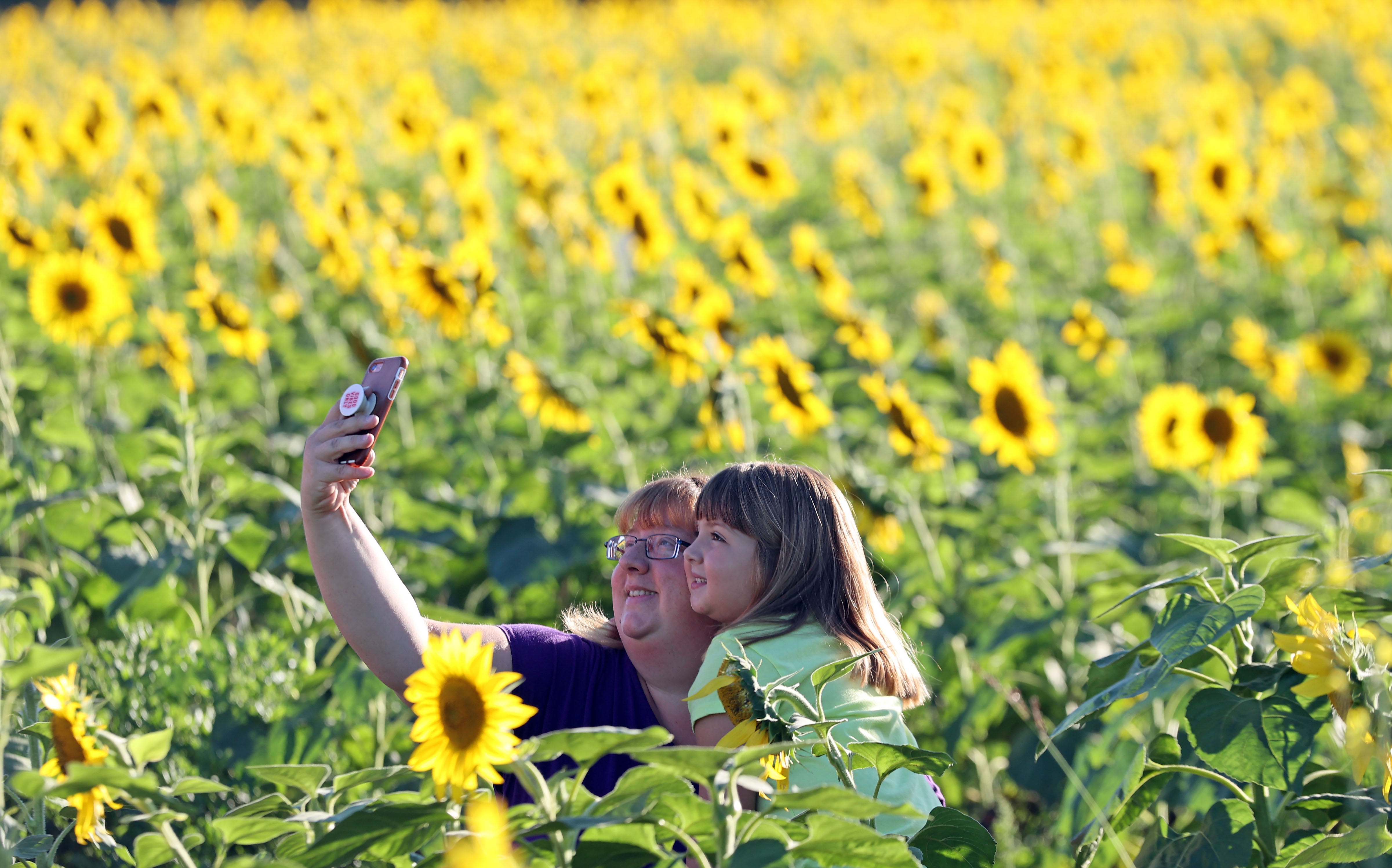Maria’s Field of Hope in Avon is in full bloom, September 29, 2021 ...