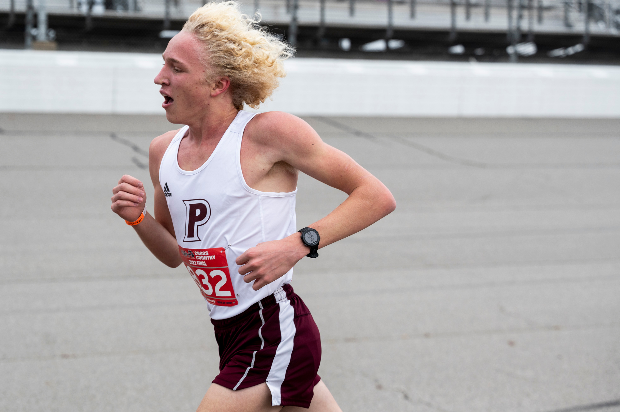 Division 3 boys Michigan state cross country championships 2022 - mlive.com