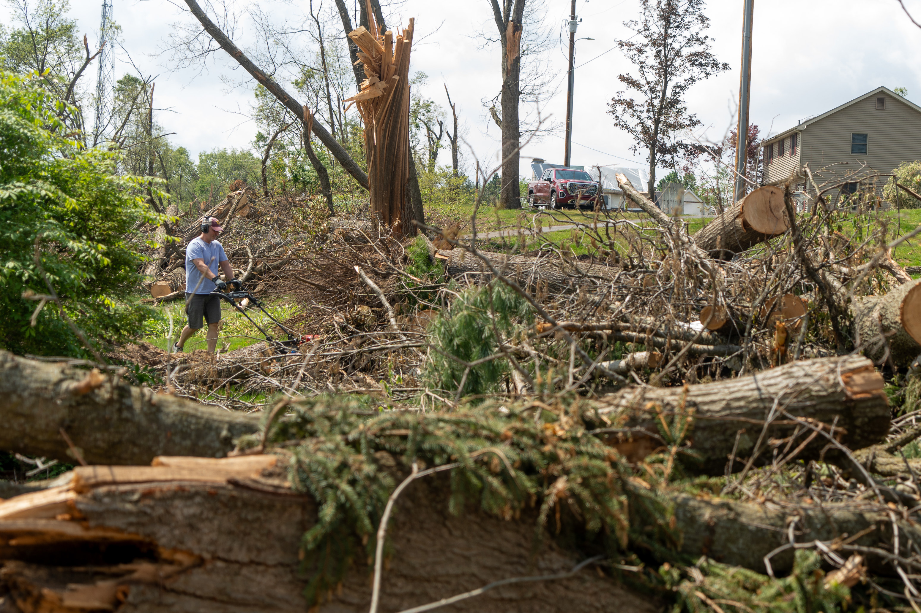 Tree removal continues in Colony Woods neighborhood - mlive.com