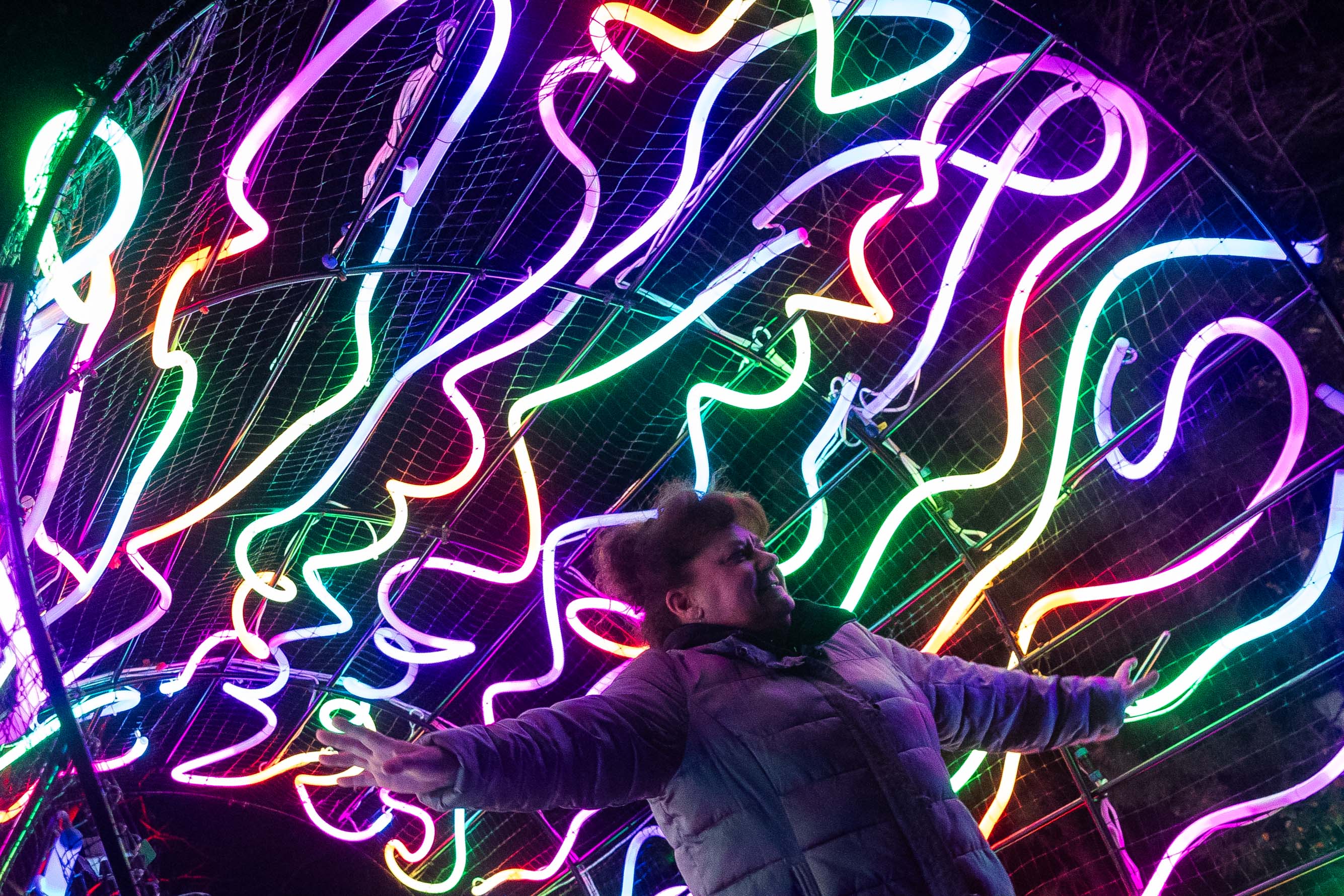 Interactive light display "ENLIGHTEN" introduced at Meijer Gardens ...