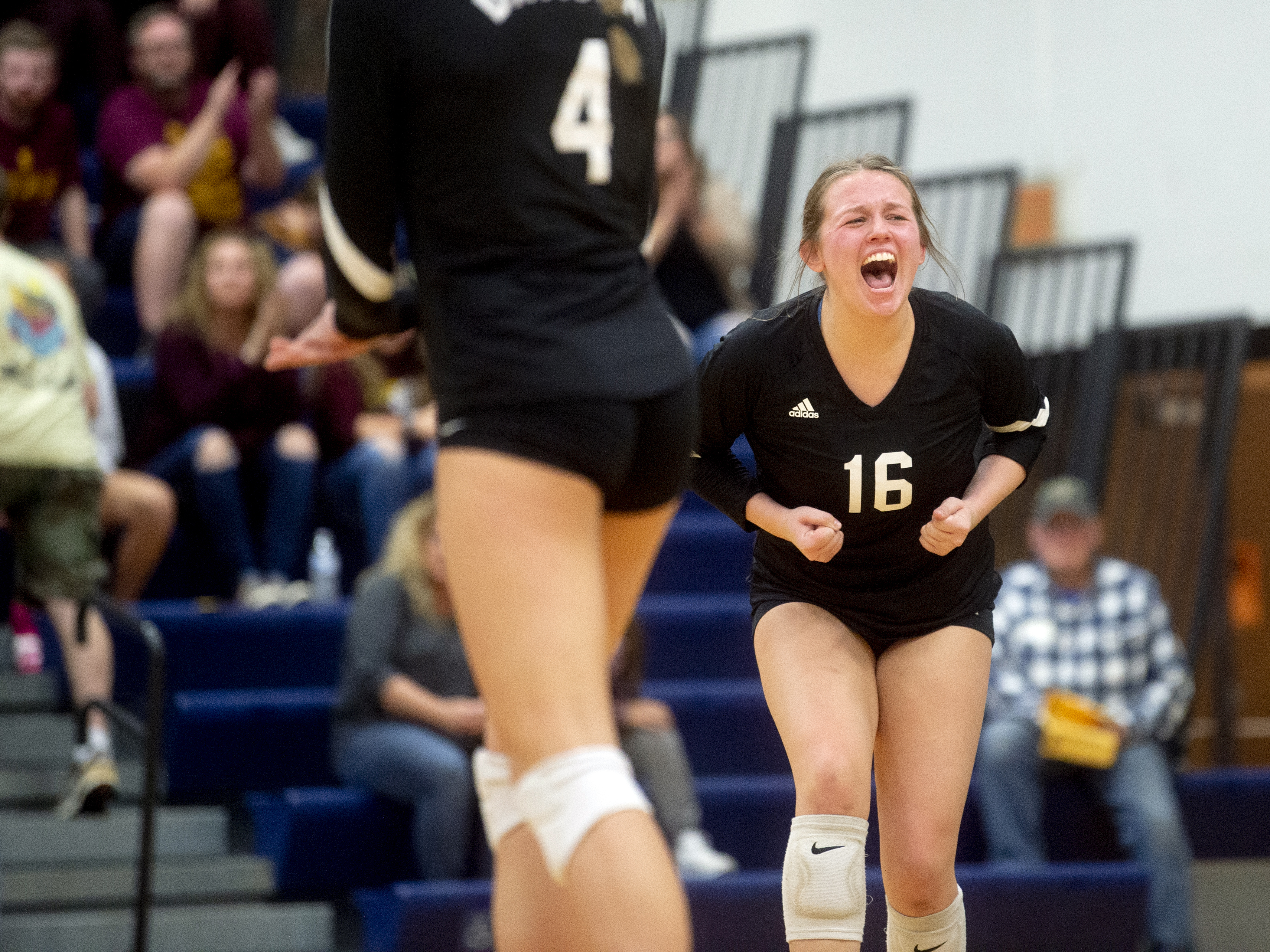 Davison shuts out Flushing, clinches Division 1 district volleyball ...