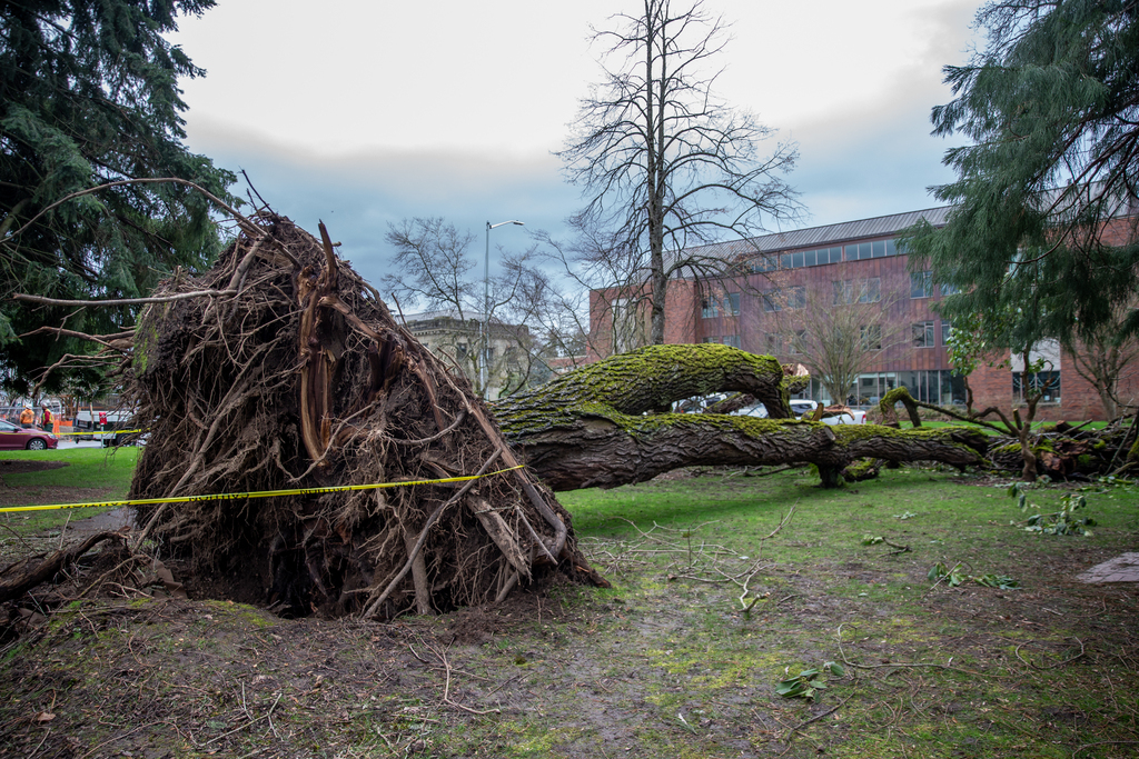 Adapting landscapes to climate change - oregonlive.com