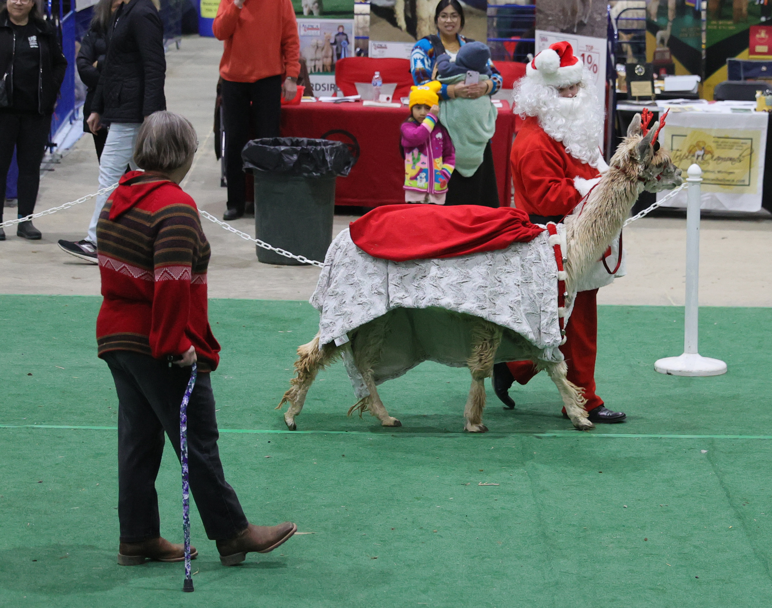 The Buckeye Alpaca Show at Summit County Fairgrounds, March 23, 2024 ...