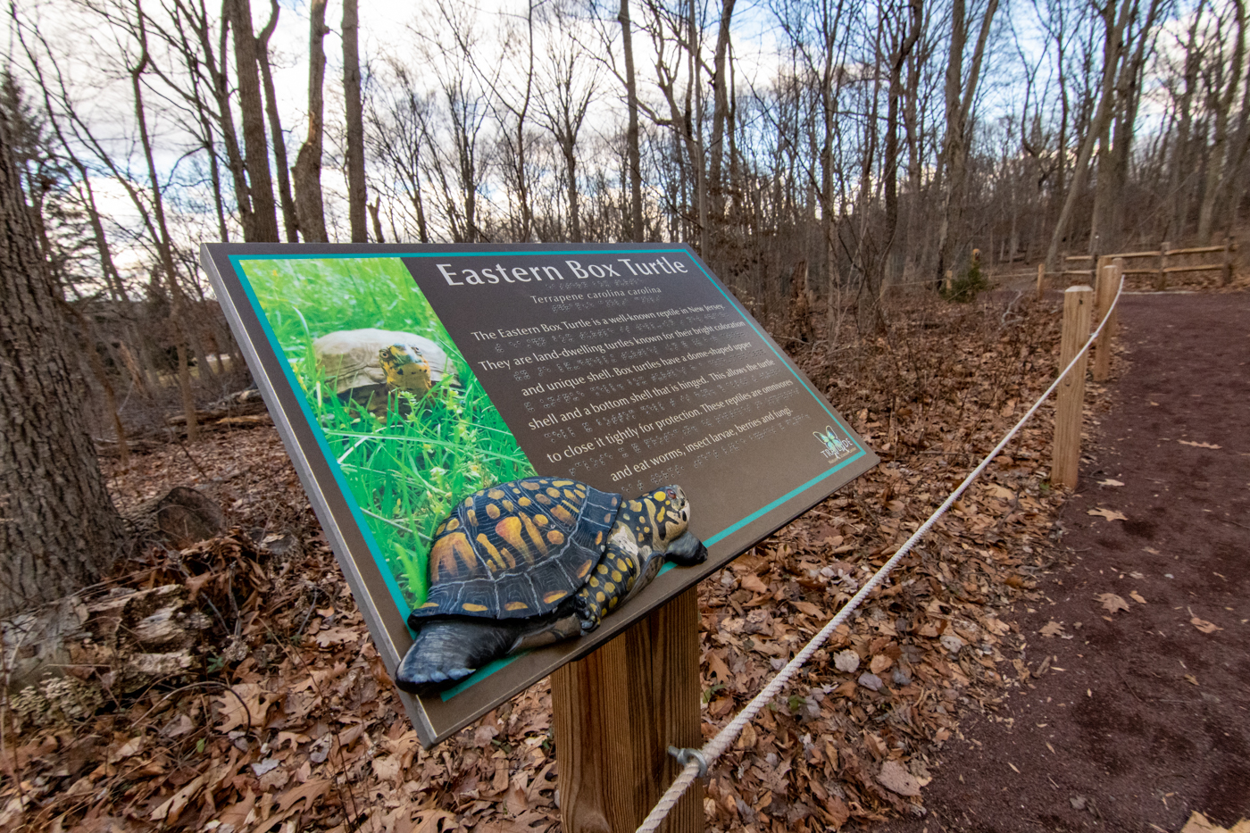 Hyperlocal Watchung Reservation - nj.com