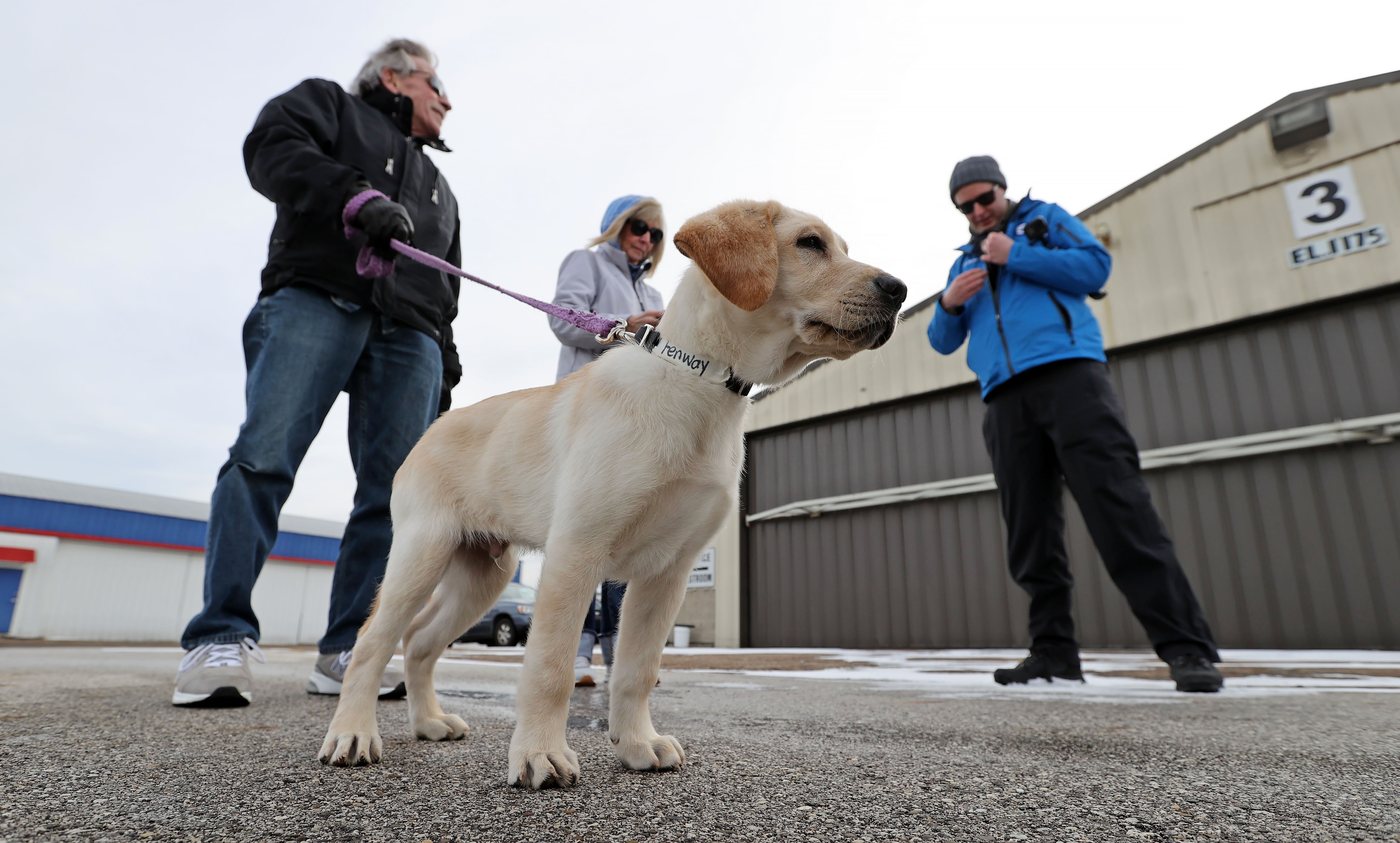 Guiding Eyes for the Blind flies in dogs to Cleveland, January 12, 2022 ...