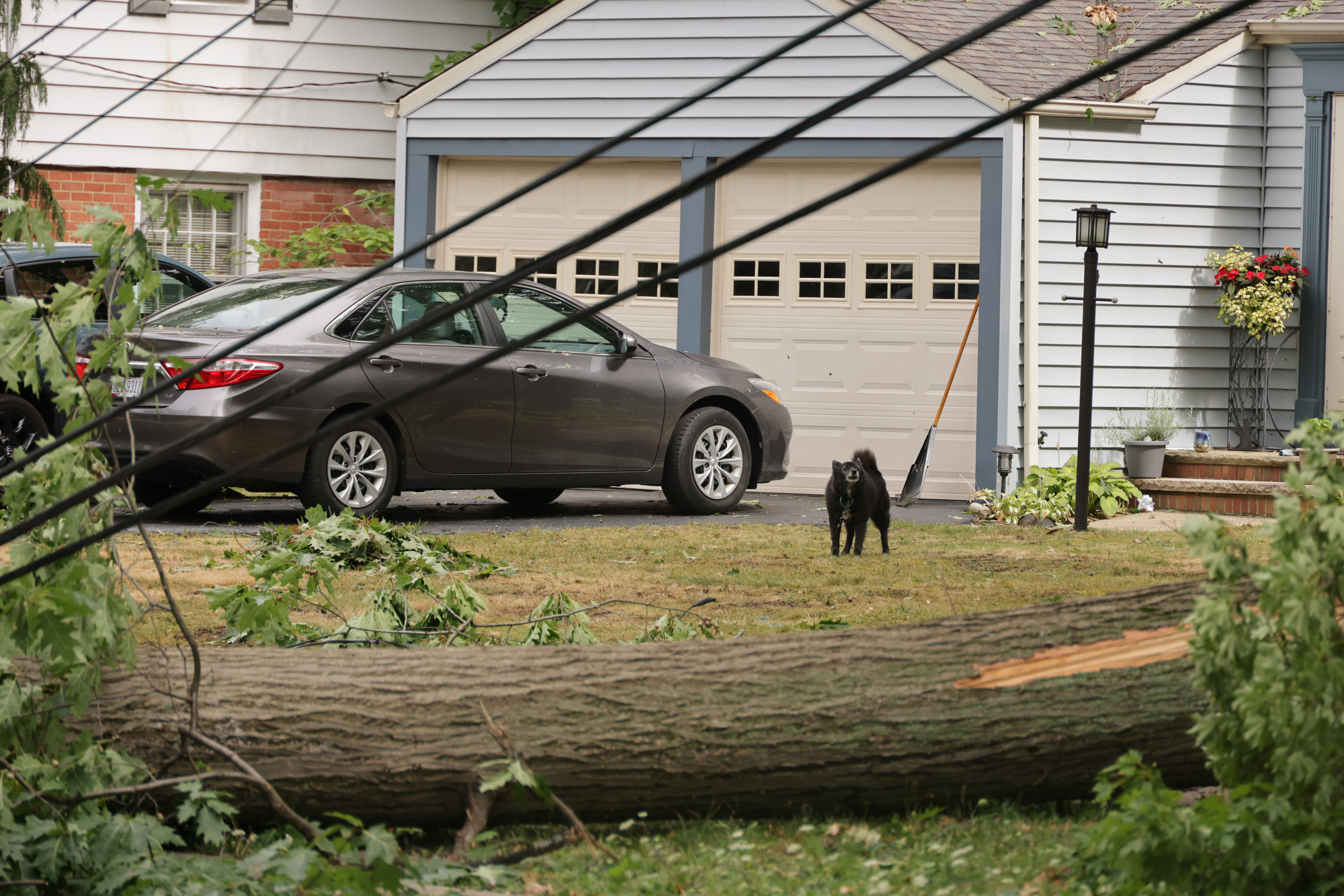 Storm damage around Northeast Ohio, August 7, 2024 - cleveland.com