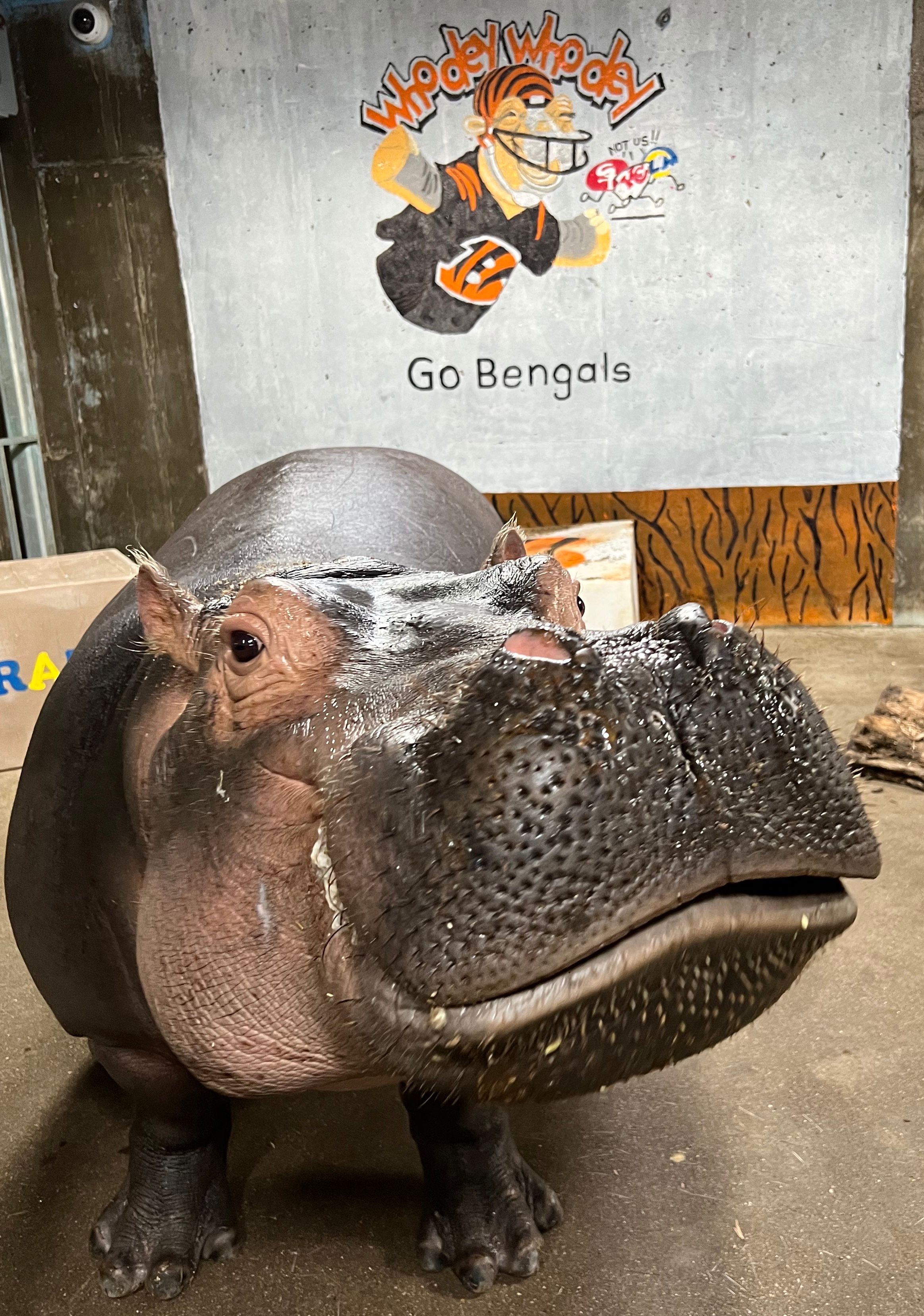 Fiona - cleveland.com