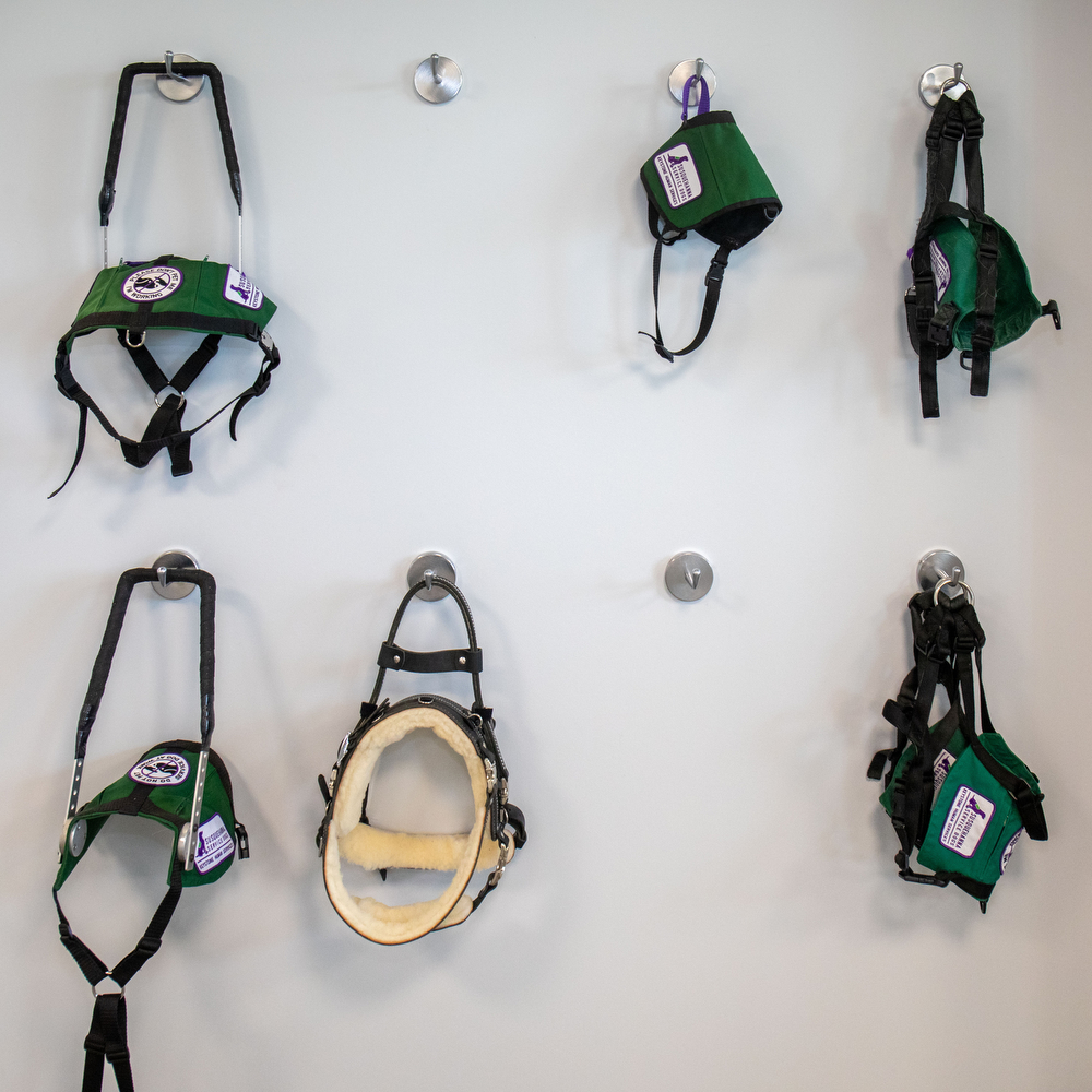 Susquehanna Service Dogs opens new training center in East Hanover ...