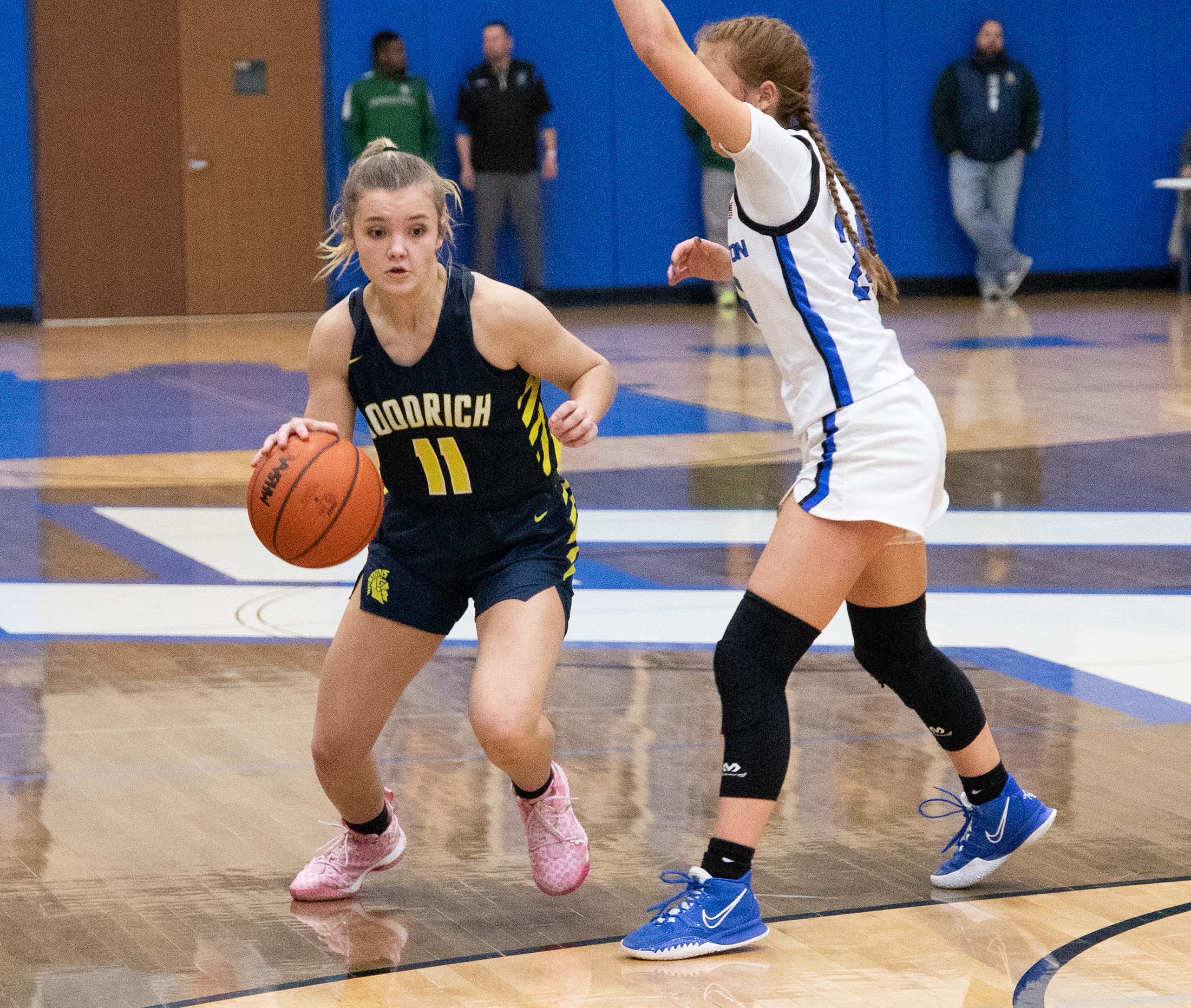 Goodrich at Lake Fenton Girls Basketball - mlive.com