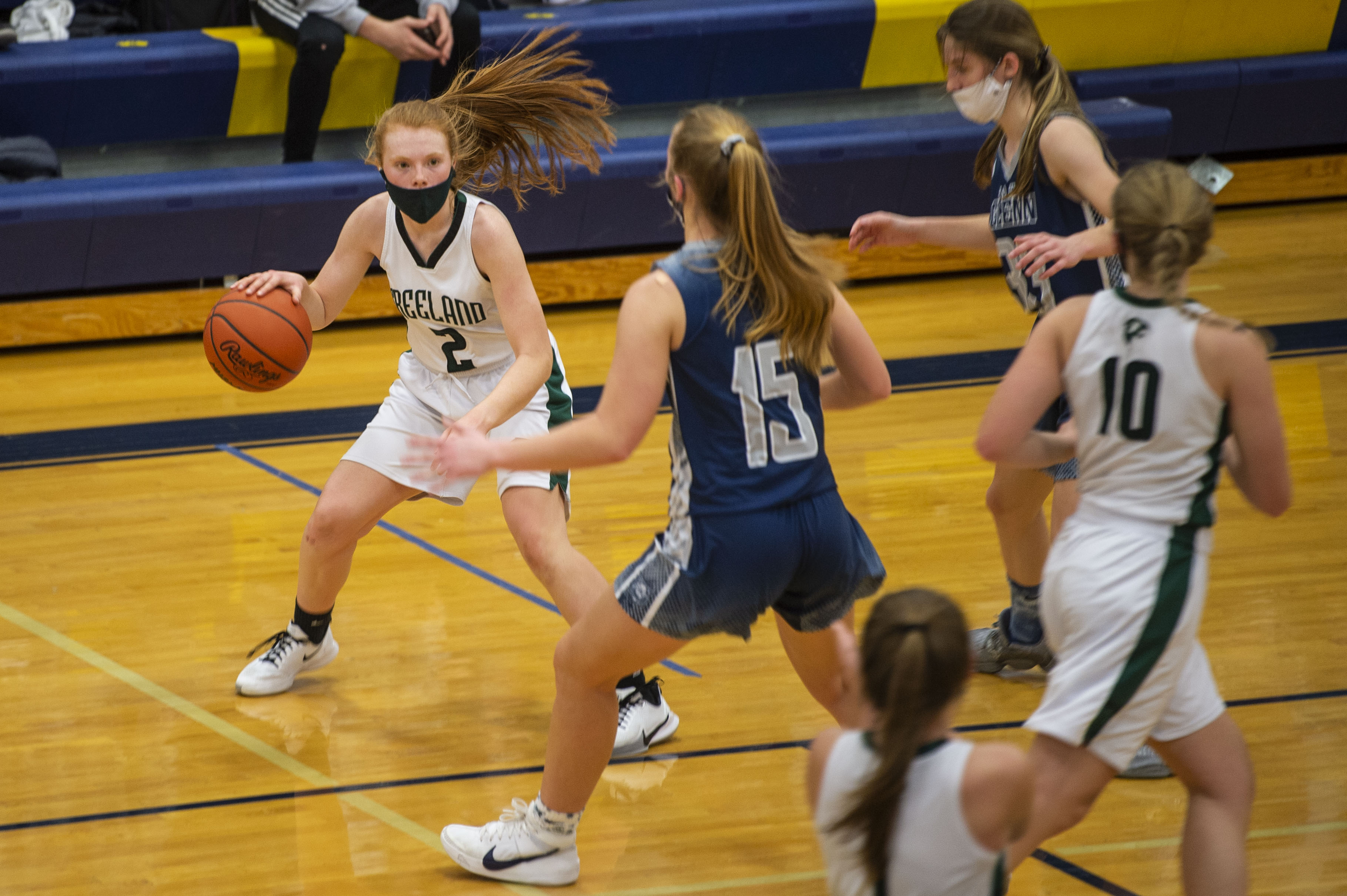 Freeland girls basketball defeats John Glenn in Division 2 district ...