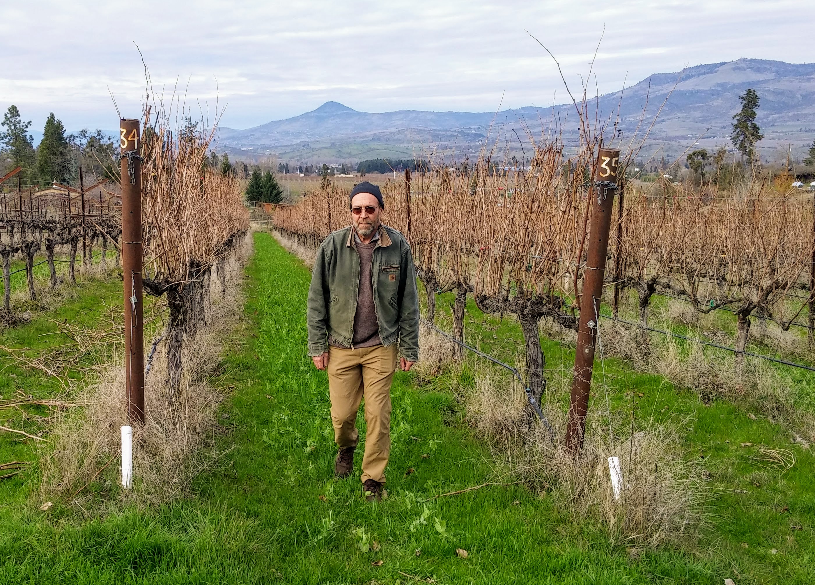Winery spotlight: Upper Five Vineyard - oregonlive.com