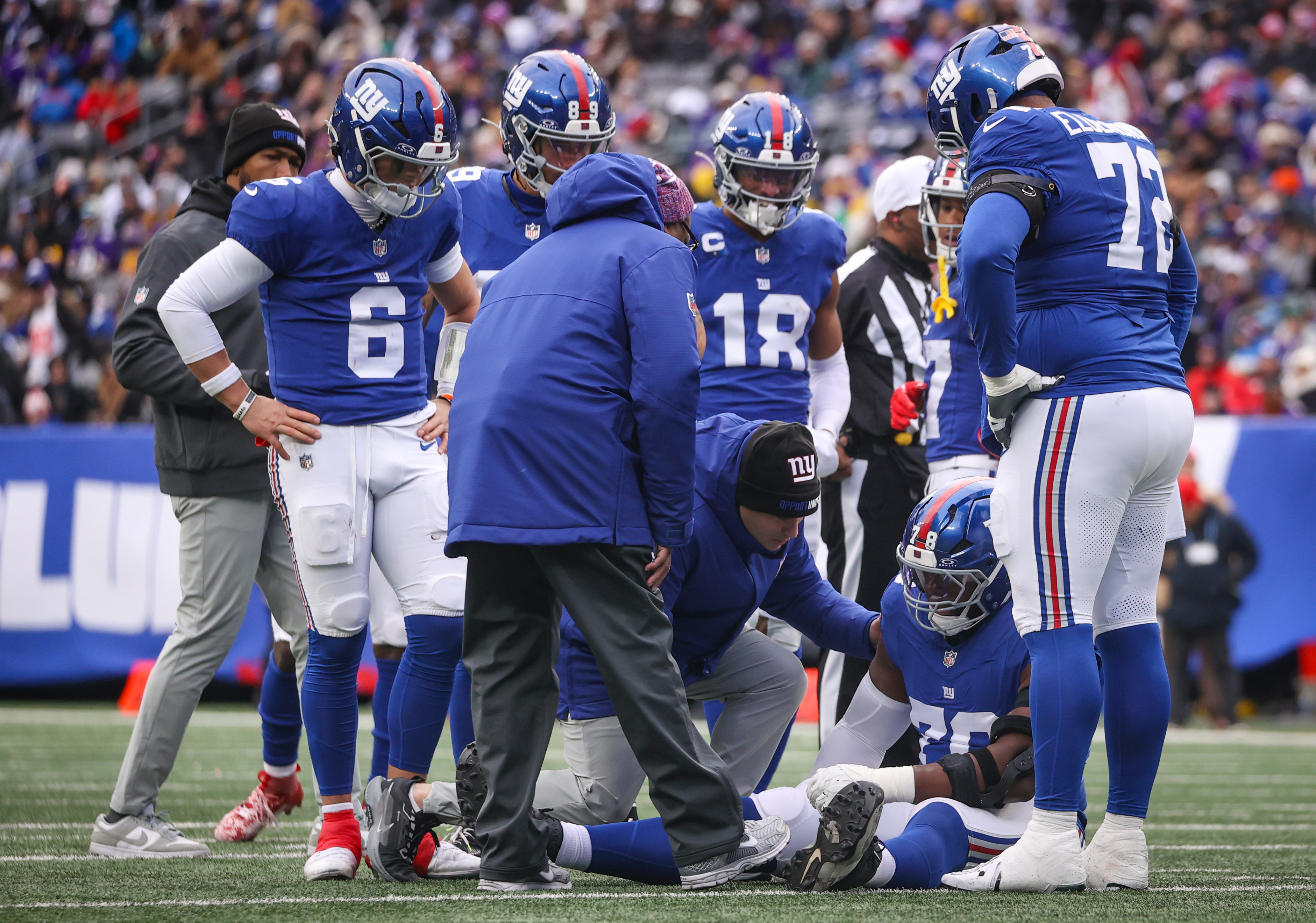 NFL Week 16: Minnesota Vikings at New York Giants - nj.com