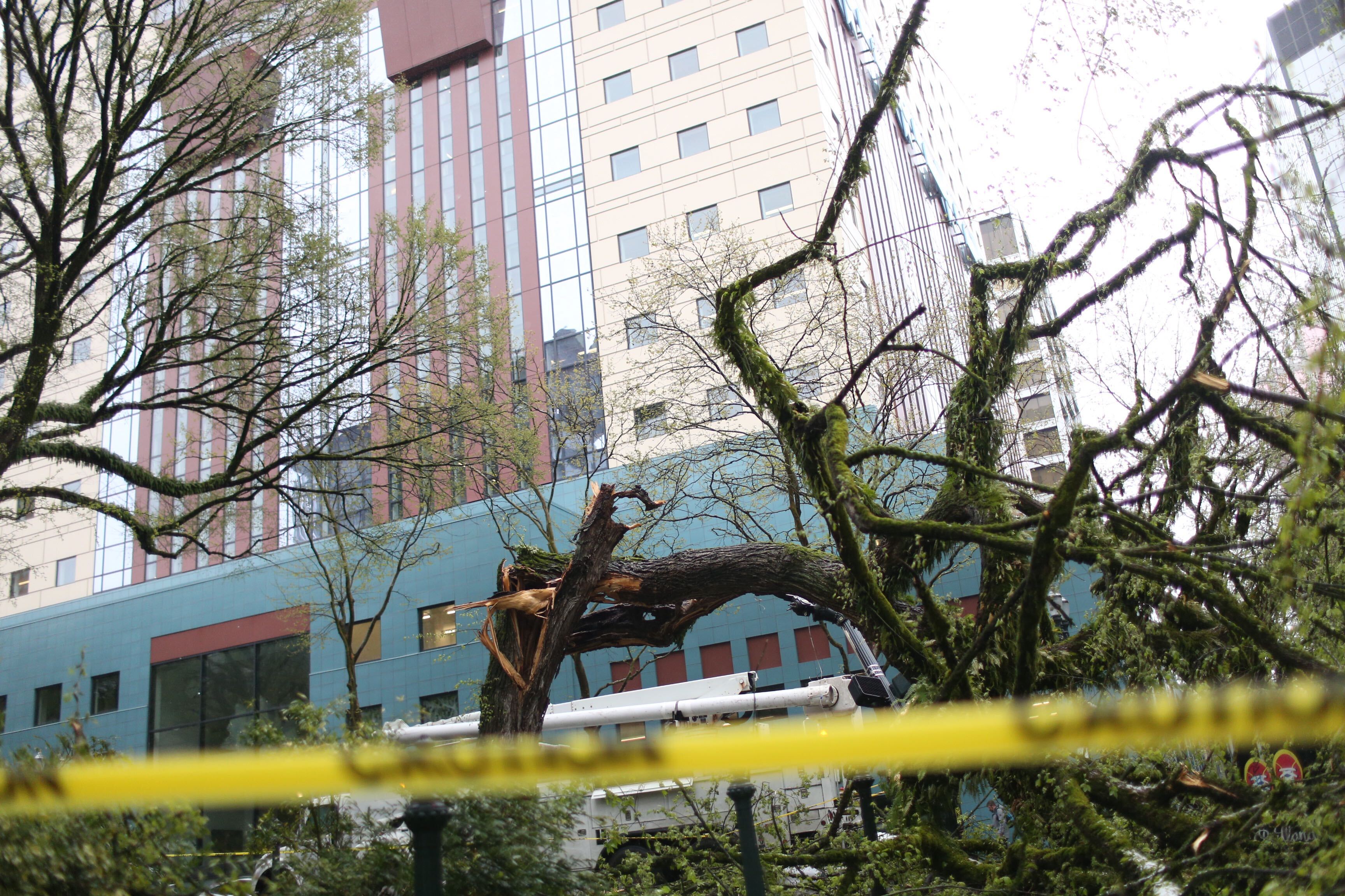 Portland snow April 11, 2022 - oregonlive.com