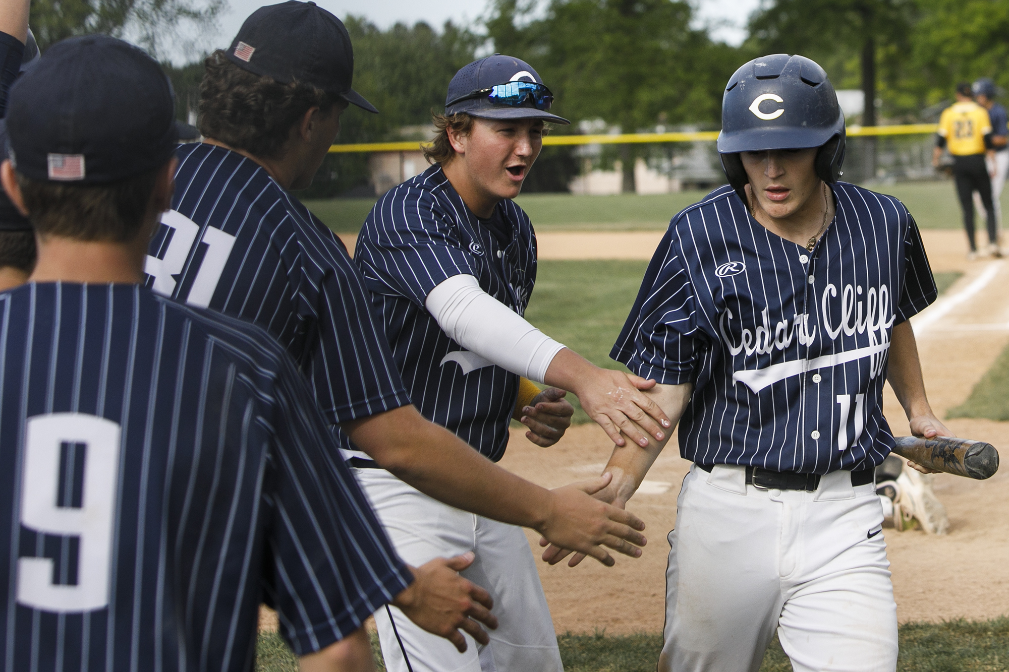 Cedar Cliff defeats Red Lion 4-2 in District 3 baseball semi-final ...