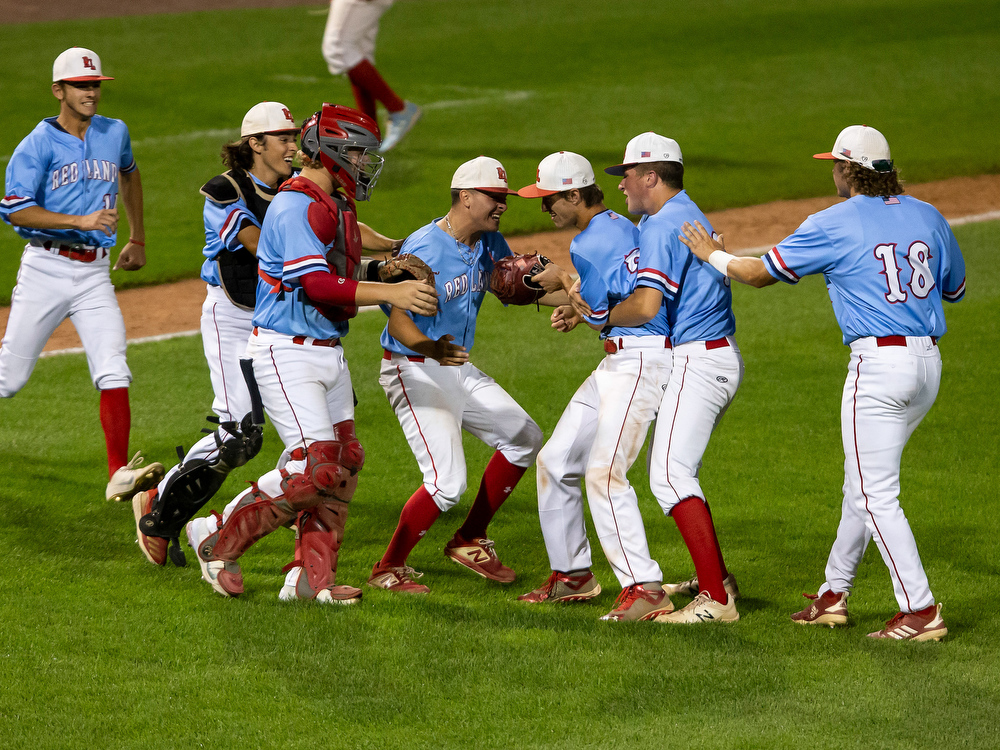 Red Land defeated Manheim Central 8-0 in PIAA Class 5A baseball ...