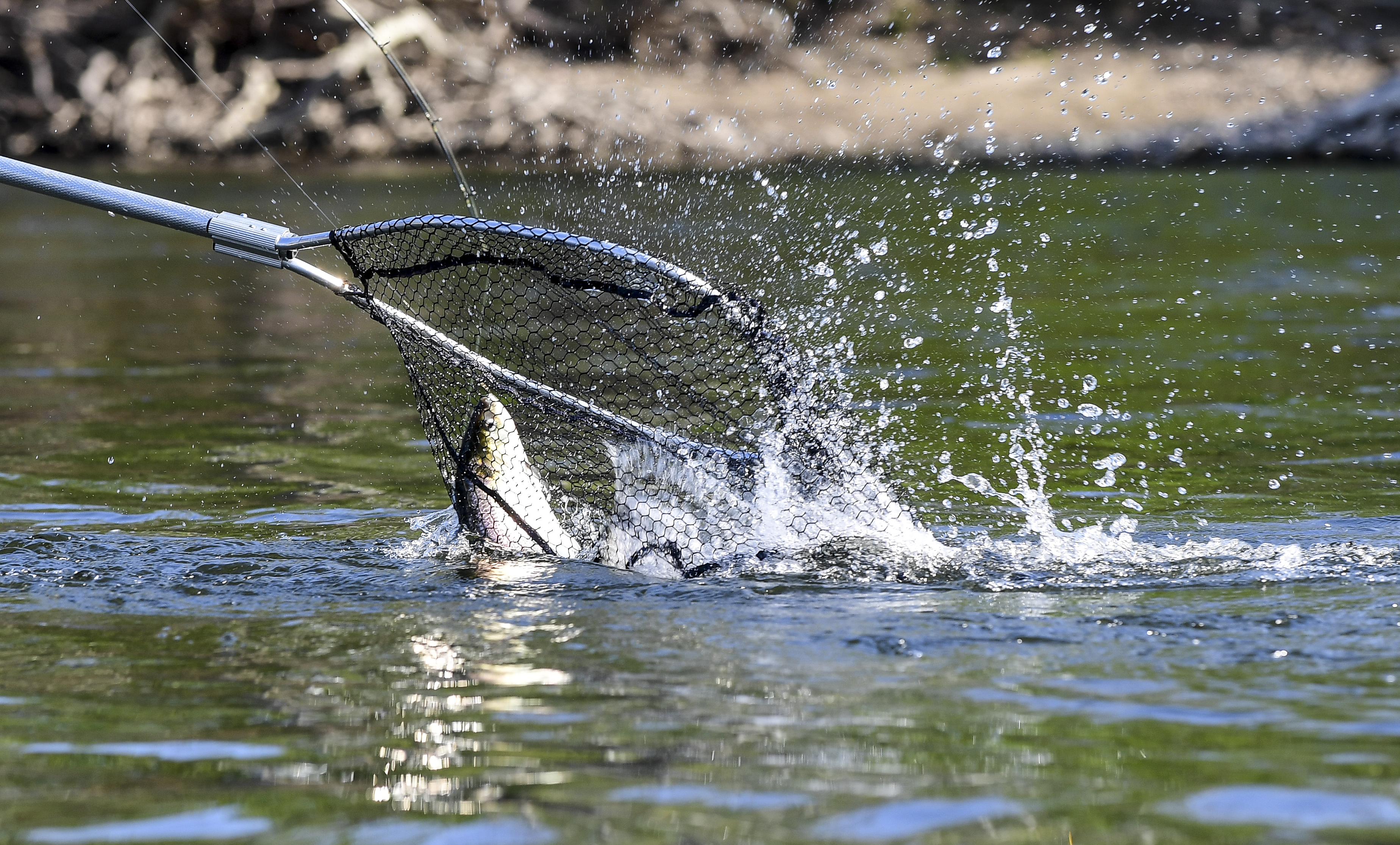 2025 Bi-State Shad Fishing Contest on the Delaware River ...