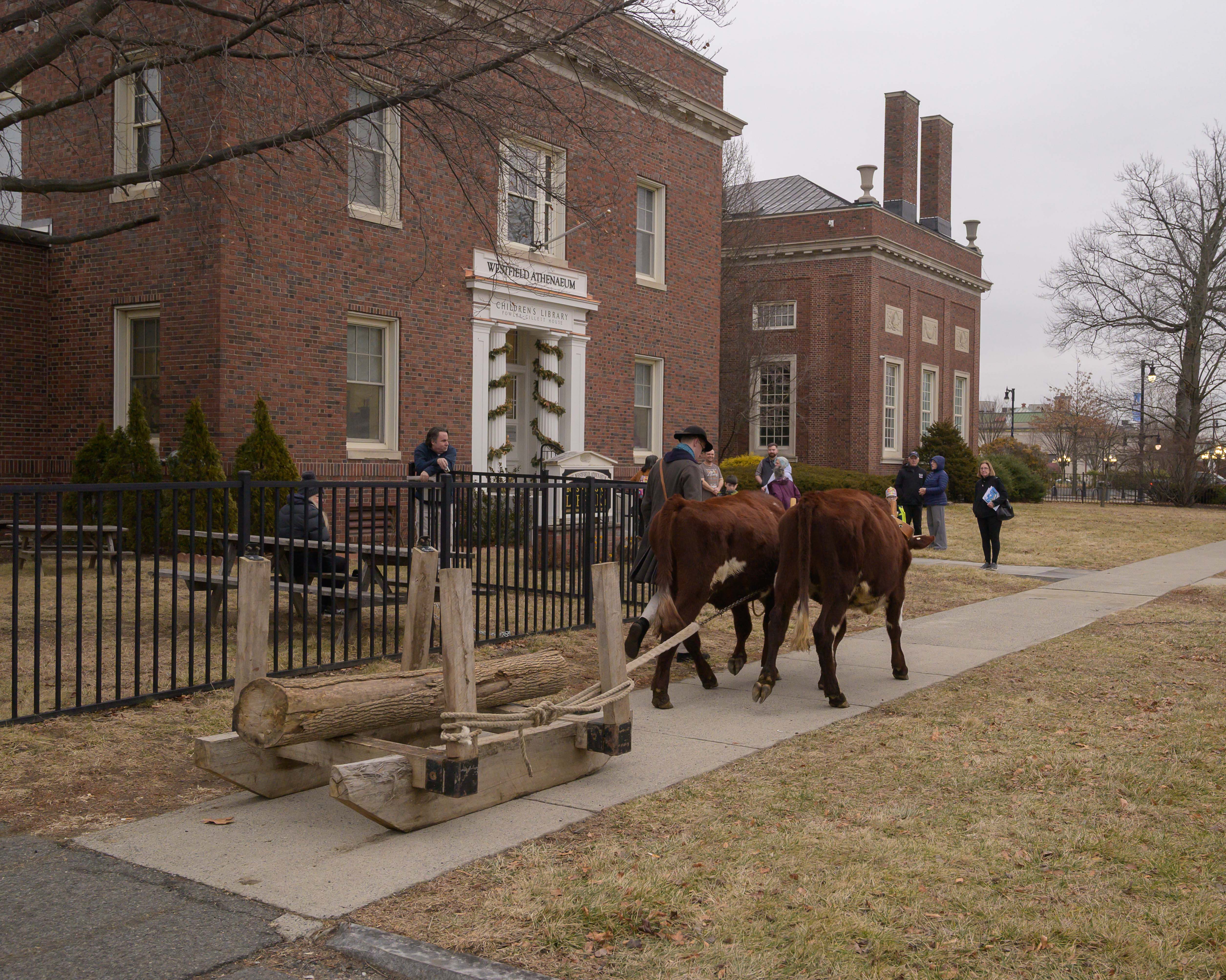Knox’s Noble Artillery Train event at the Westfield Athenaeum ...