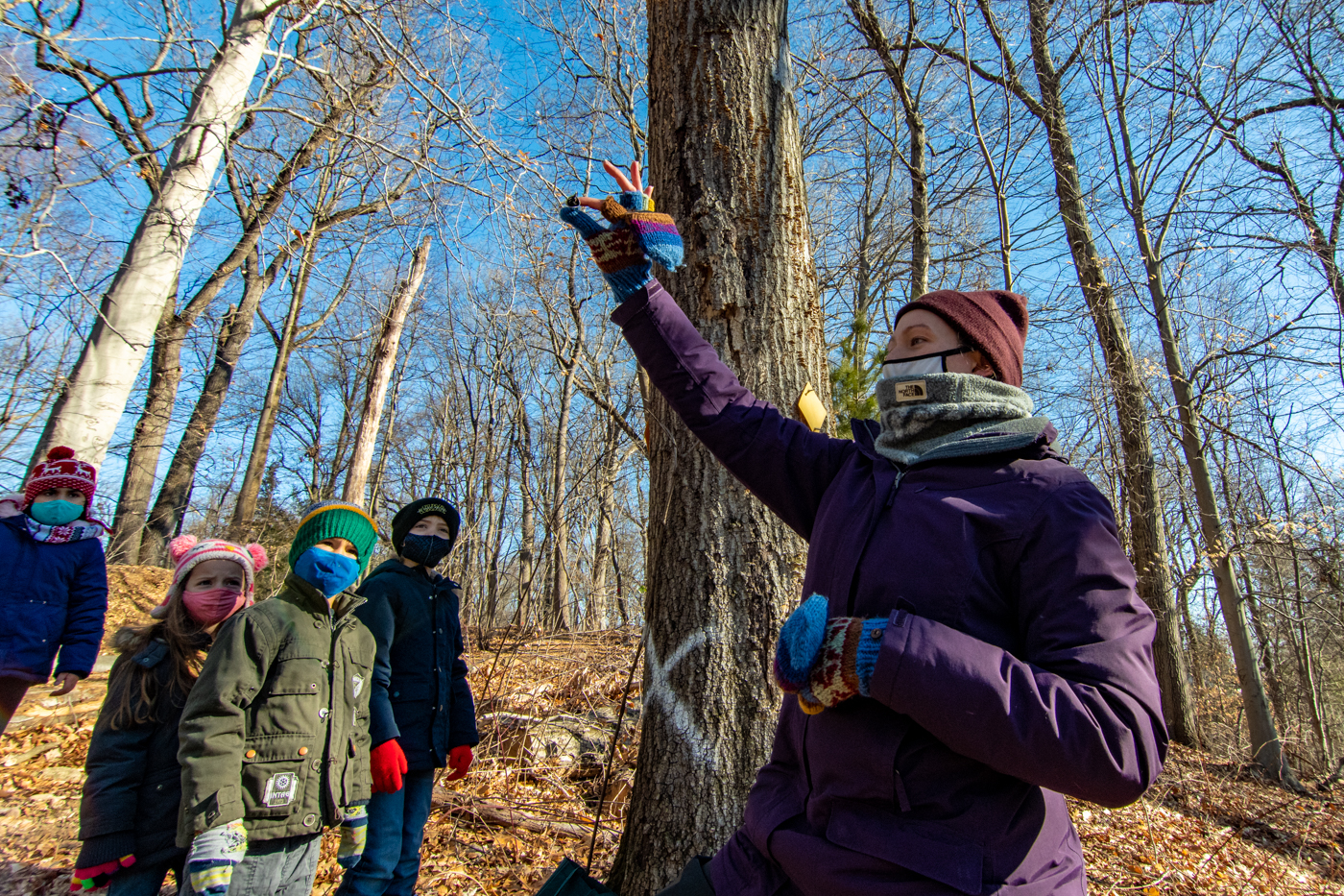 Hyperlocal Maple Sugaring - nj.com